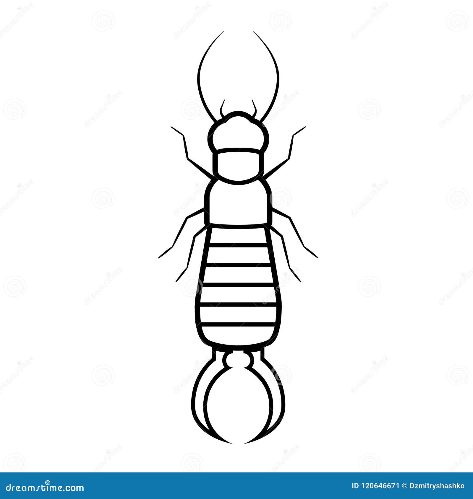 Esquema Del Insecto De La Tijereta Ilustración del Vector - Ilustración ...
