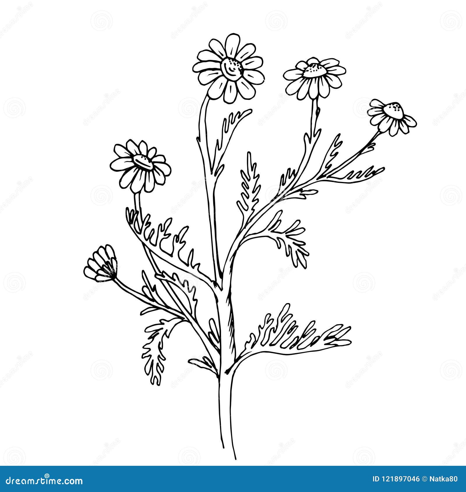 Crmla Dibujos De Plantas Medicinales Para Pintar | Porn Sex Picture Crmla Dibujos De Plantas Medicinales Para Pintar | Porn Sex Picture