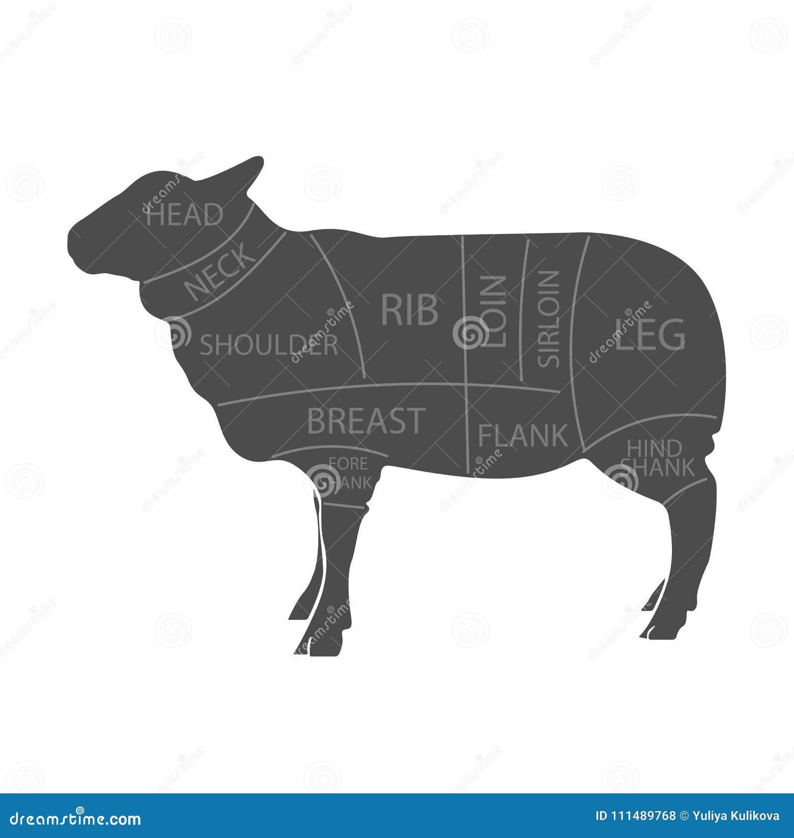 Esquema Do Corte Da Carne Do Cordeiro Com a Linha De Corte Ilustração ...