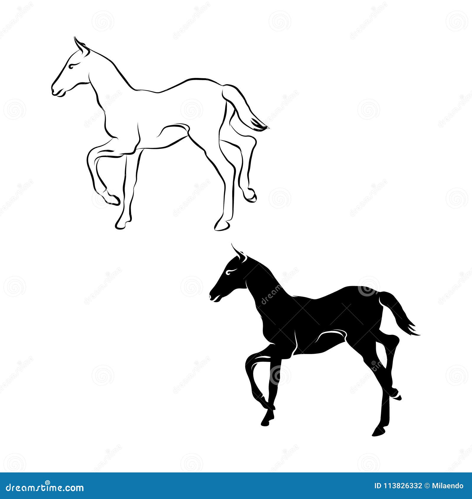 Esquema Y Silueta Del Potro Ilustración del Vector - Ilustración de ...