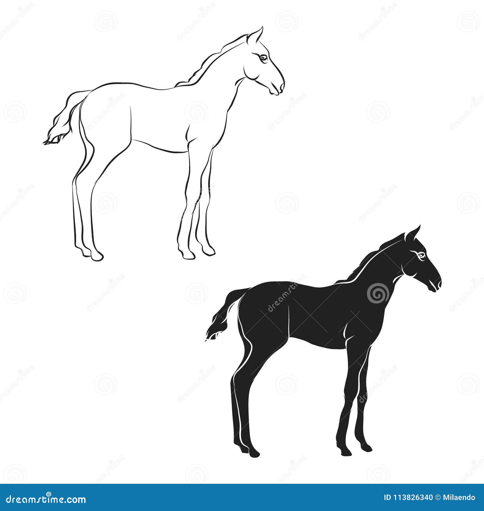 Esquema Y Silueta Del Potro Ilustración del Vector - Ilustración de ...