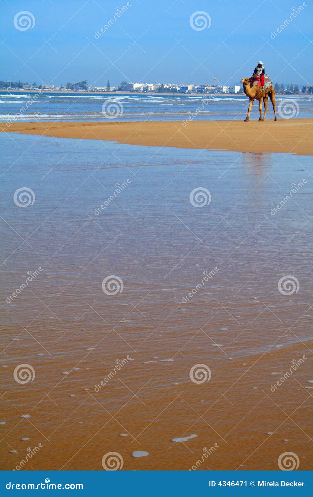 Essaouira Beach stock image. Image of morocco, fishing - 4346471