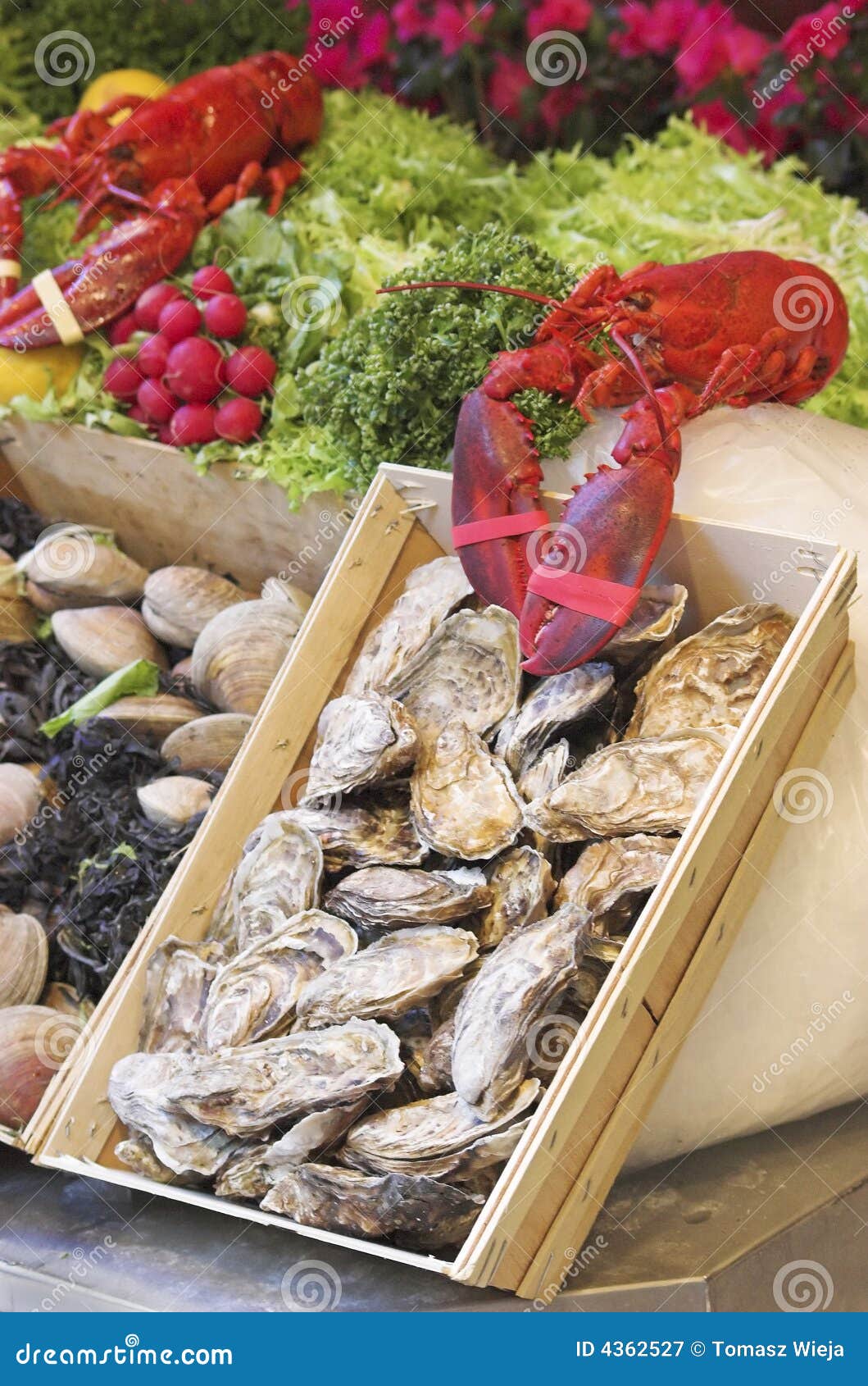 Essbare Meerestiere stockbild. Bild von fische, artikel - 4362527