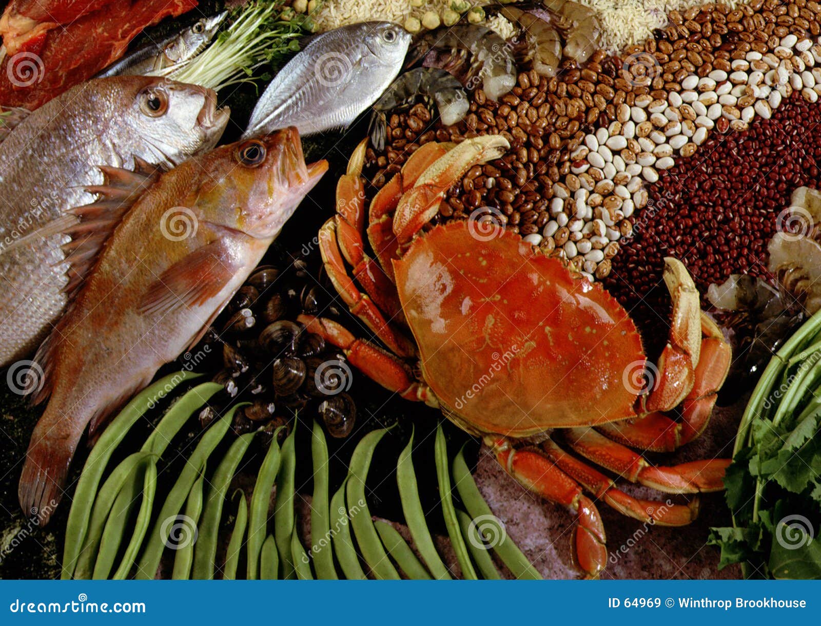 Essbare Meerestiere stockbild. Bild von fische, lebensmittelgeschäft ...