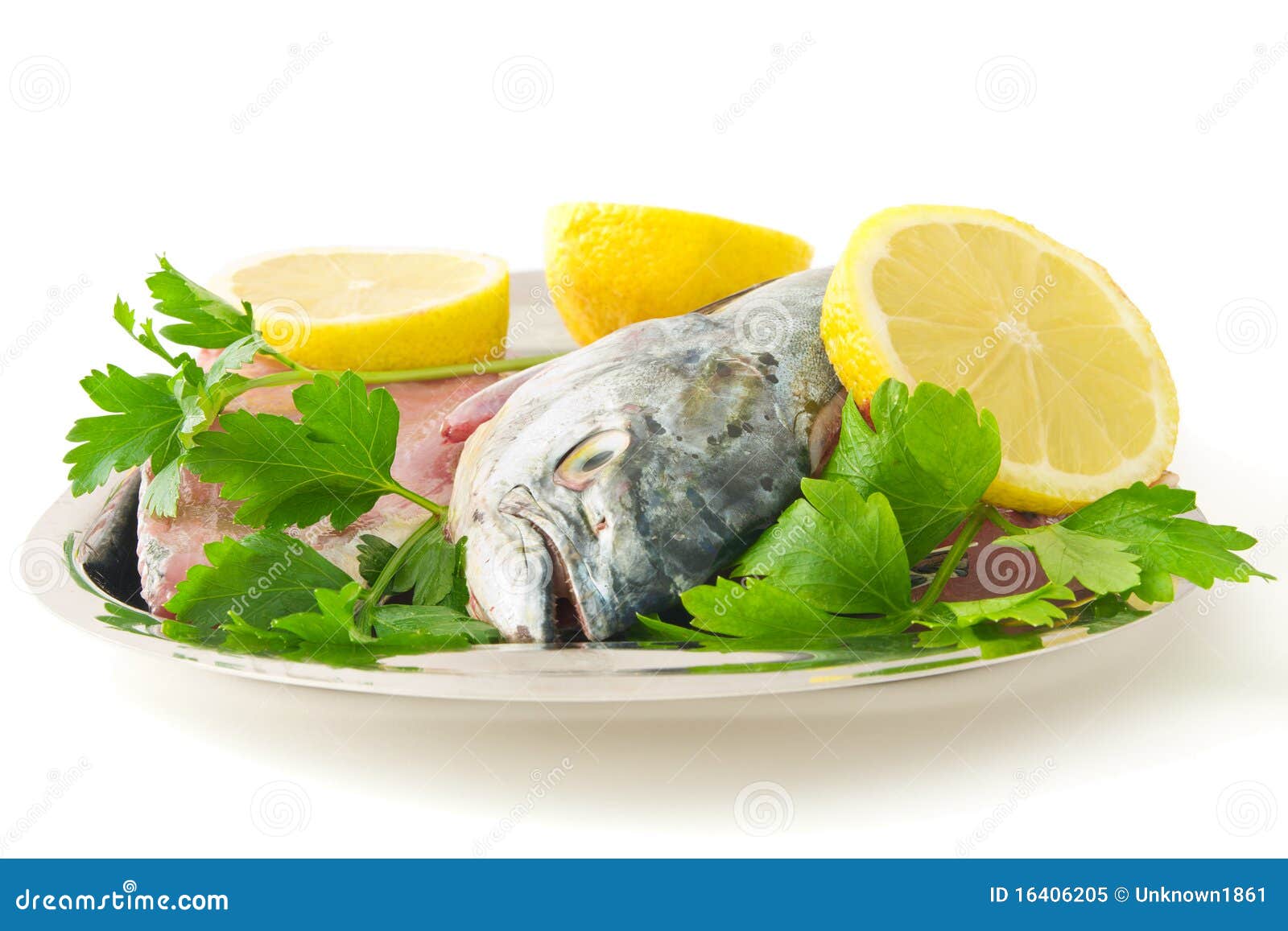 Essbare Meerestiere - Frischer Fisch Stockbild - Bild von tier ...