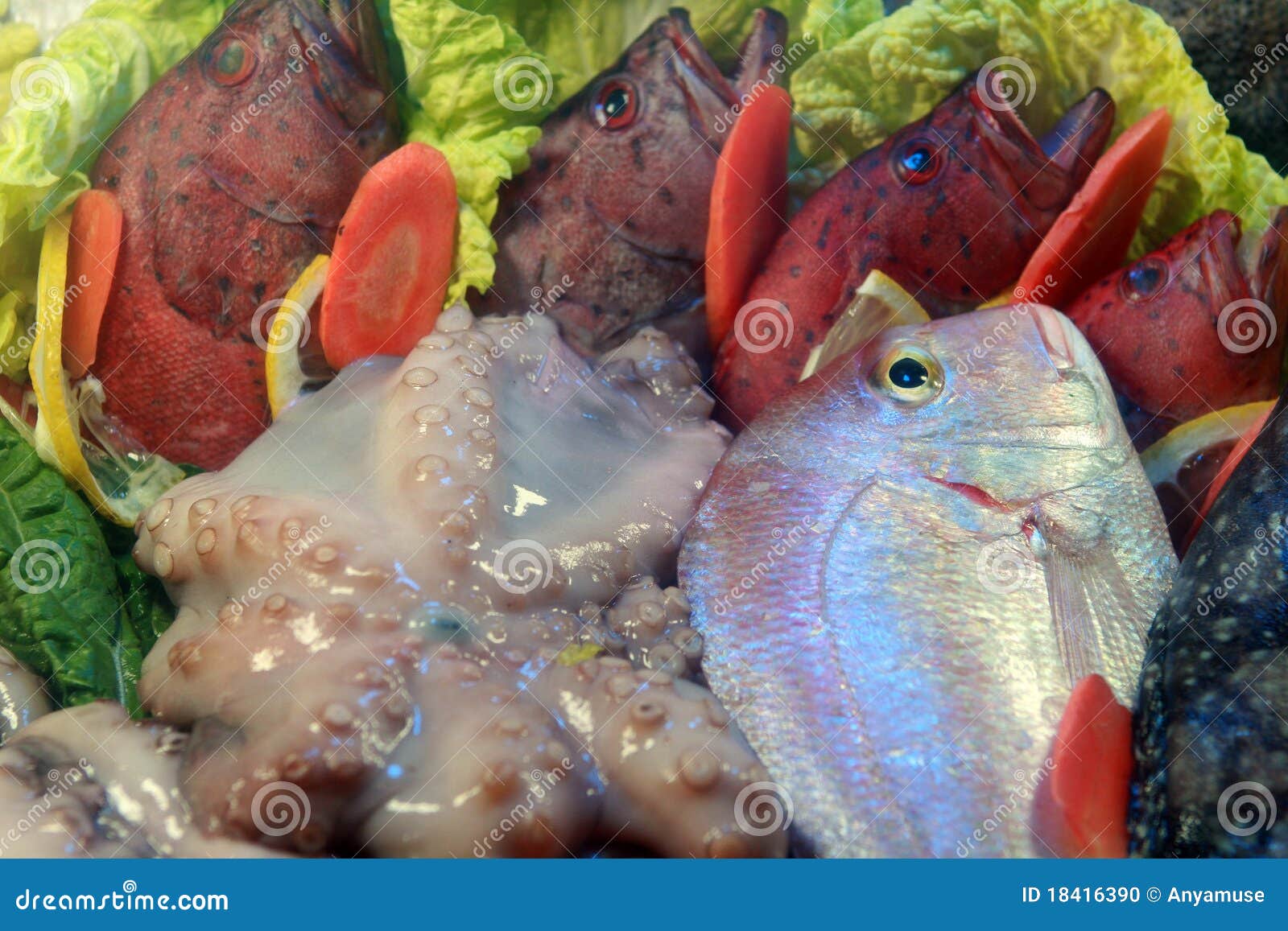 Essbare Meerestiere Und Fische Stockfoto - Bild von butter, hummer ...