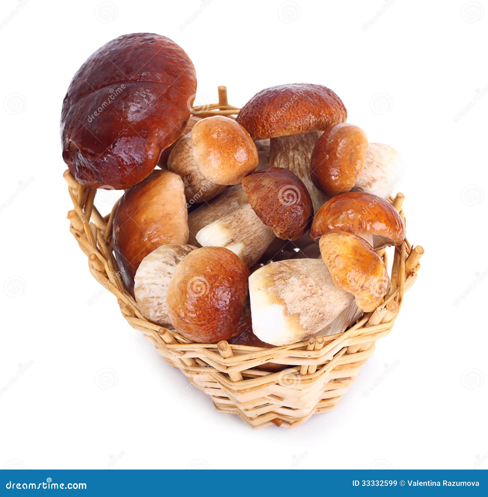 Essbare Pilze Des Boletus Im Strohkorb Stockbild - Bild von getrennt ...