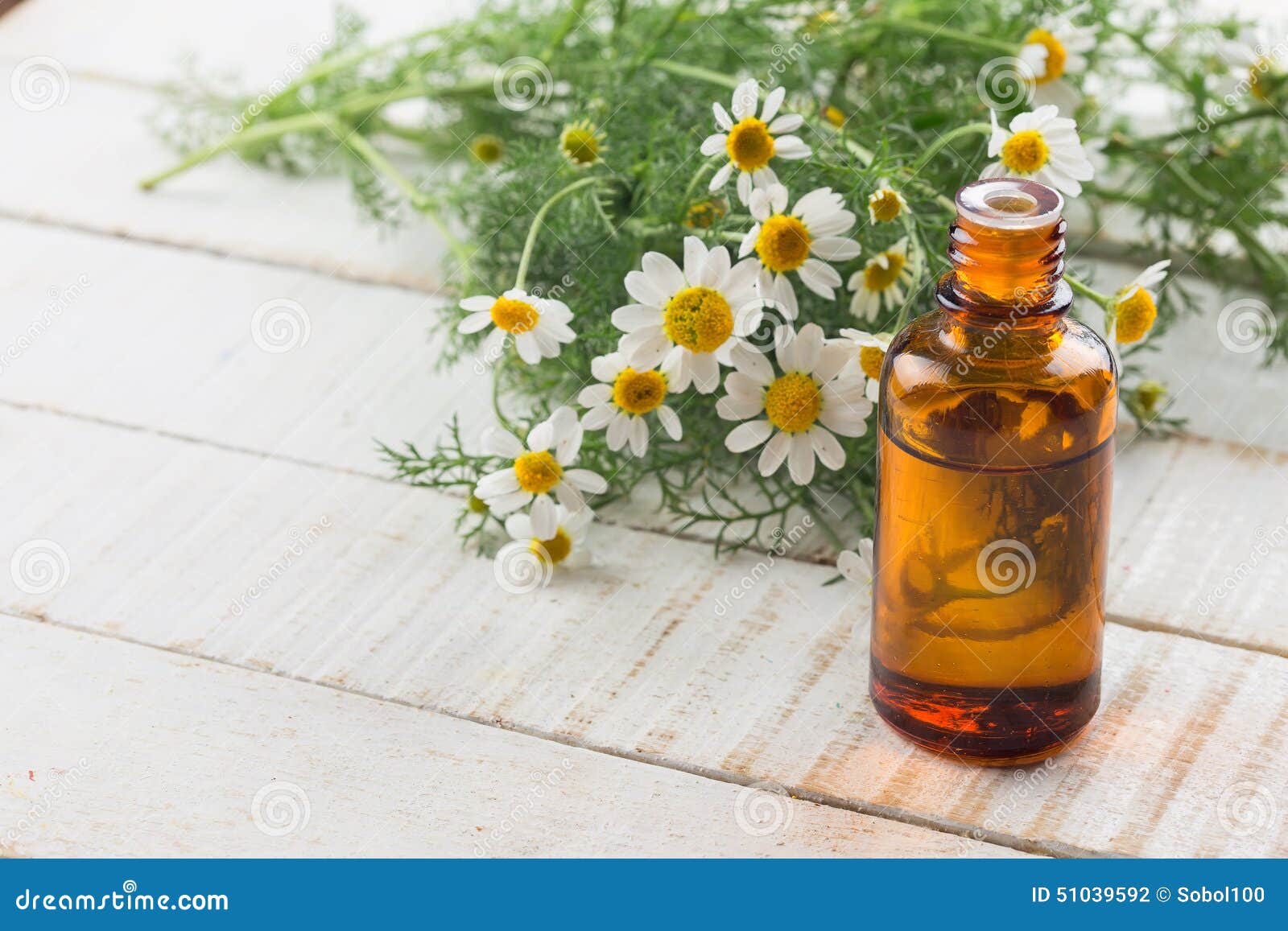 Essential aroma oil stock photo. Image of aromatic, green - 51039592