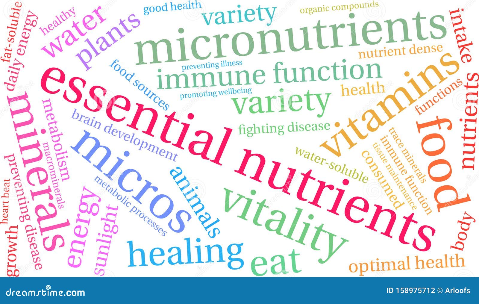 Essential Nutrients Word Cloud Stock Vector - Illustration of brain ...