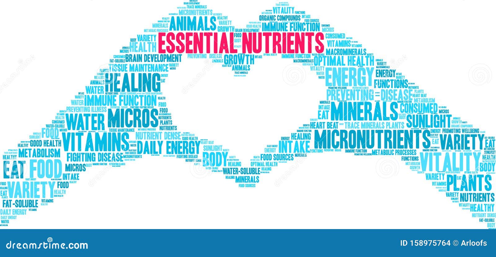 Essential Nutrients Word Cloud Stock Vector - Illustration of micros ...