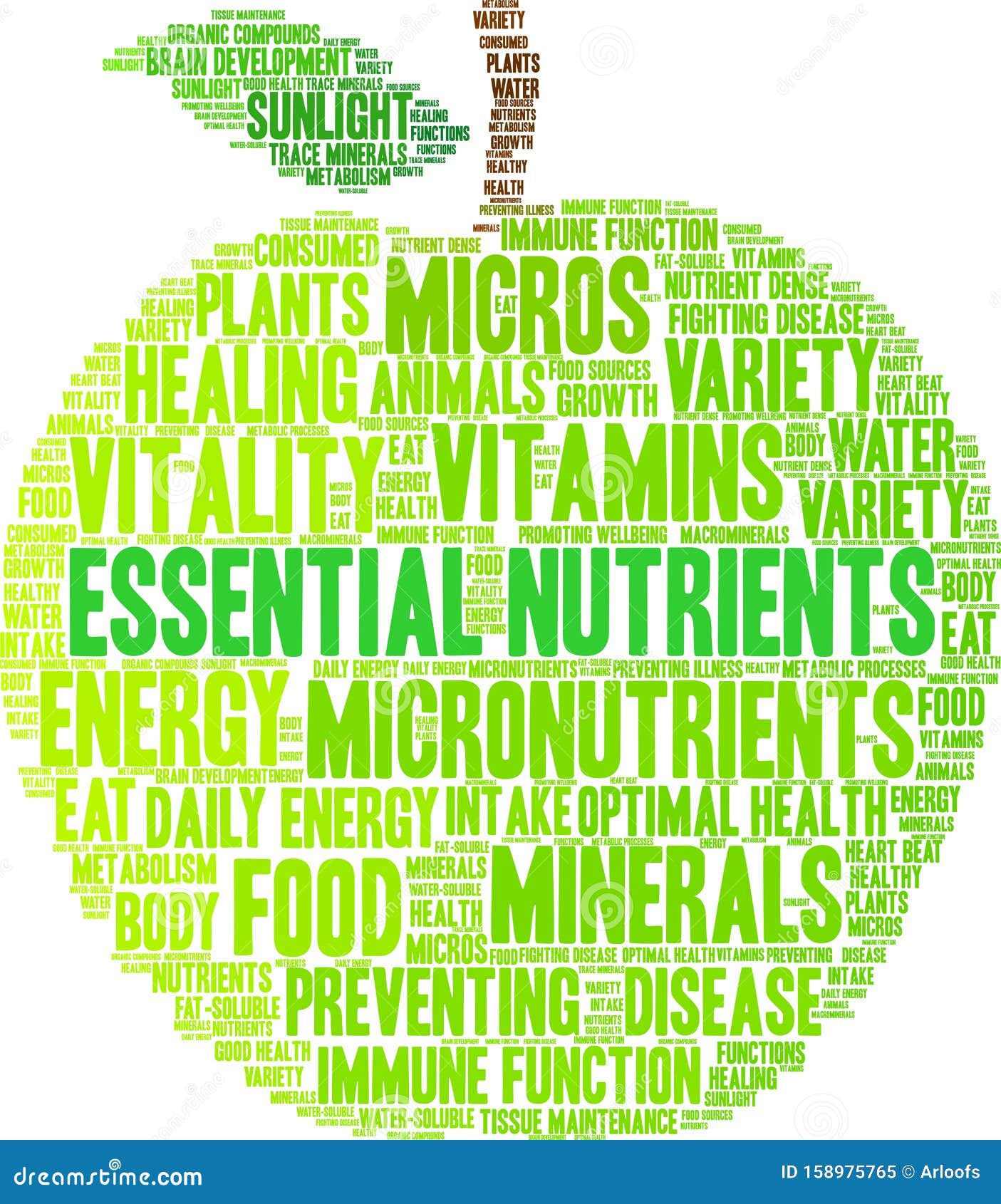 Essential Nutrients For Lungs Health Including Omega-3, Flavonoids ...