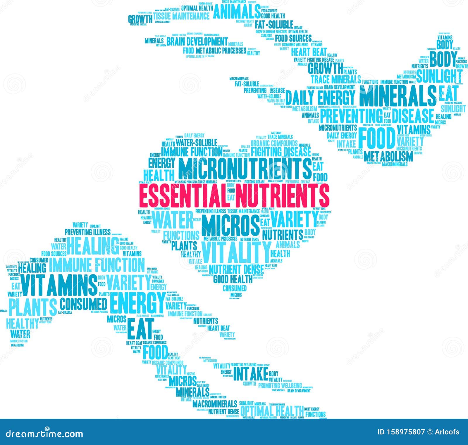 Essential Nutrients For Lungs Health Including Omega-3, Flavonoids ...