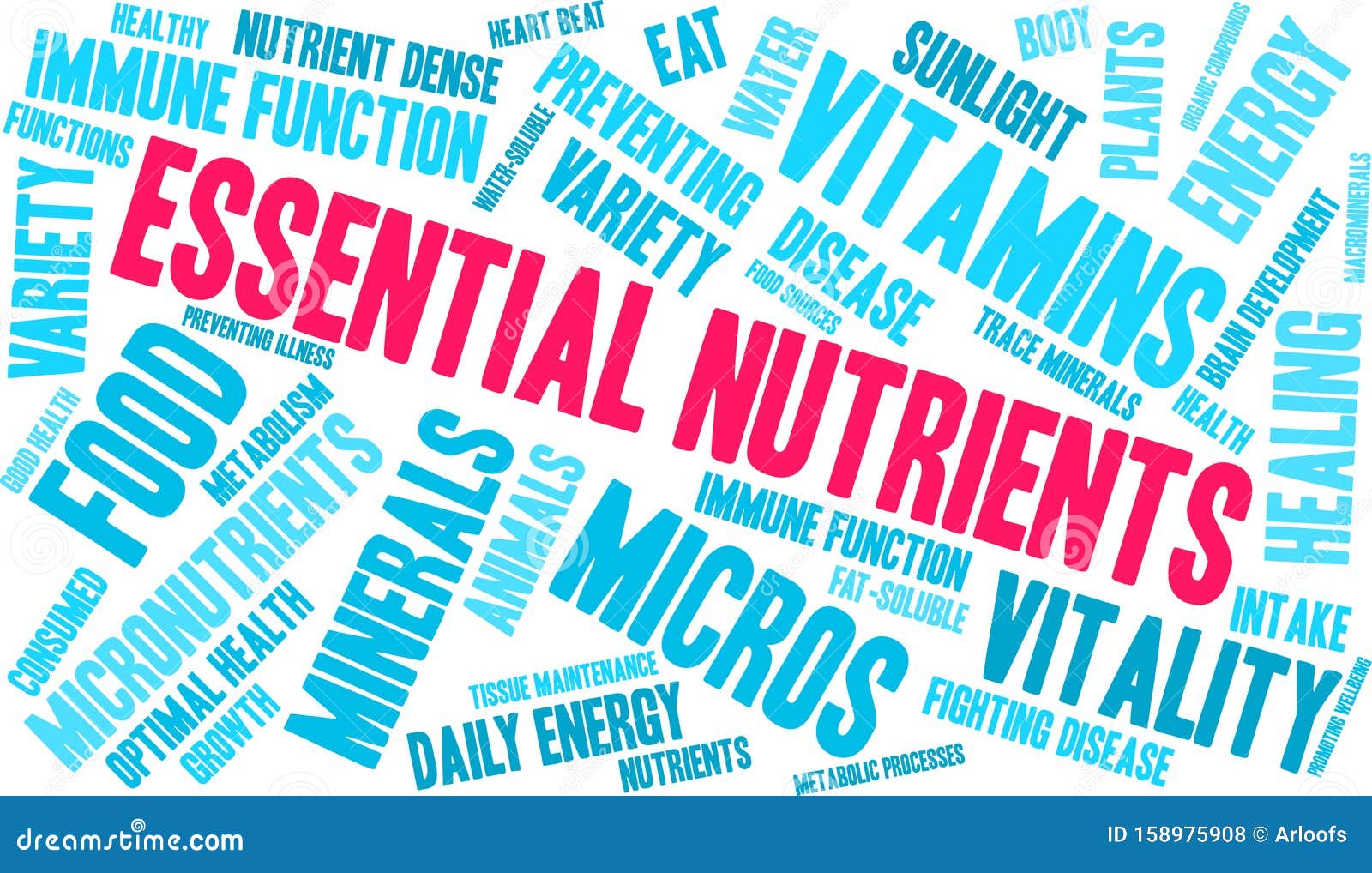 Essential Nutrients Word Cloud Stock Vector - Illustration of body ...