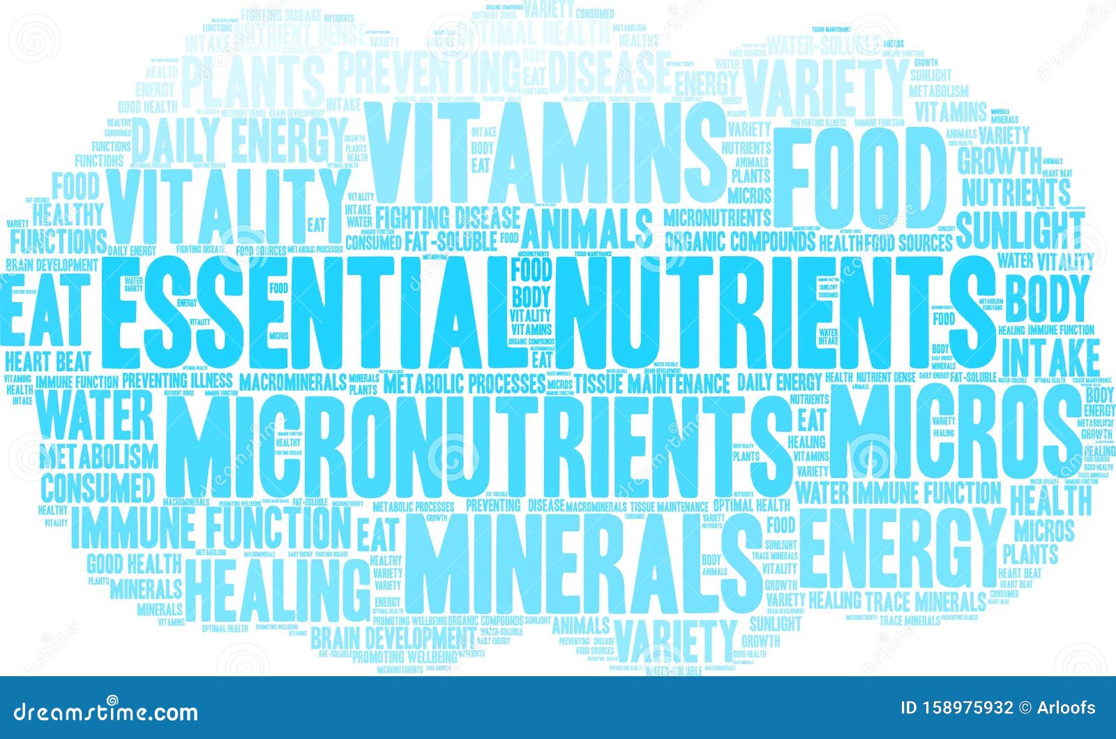 Essential Nutrients Word Cloud Stock Vector - Illustration of immune ...