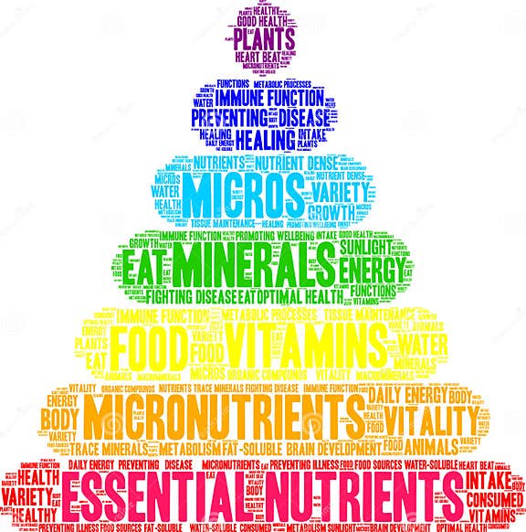 Essential Nutrients Word Cloud Stock Vector - Illustration of ...