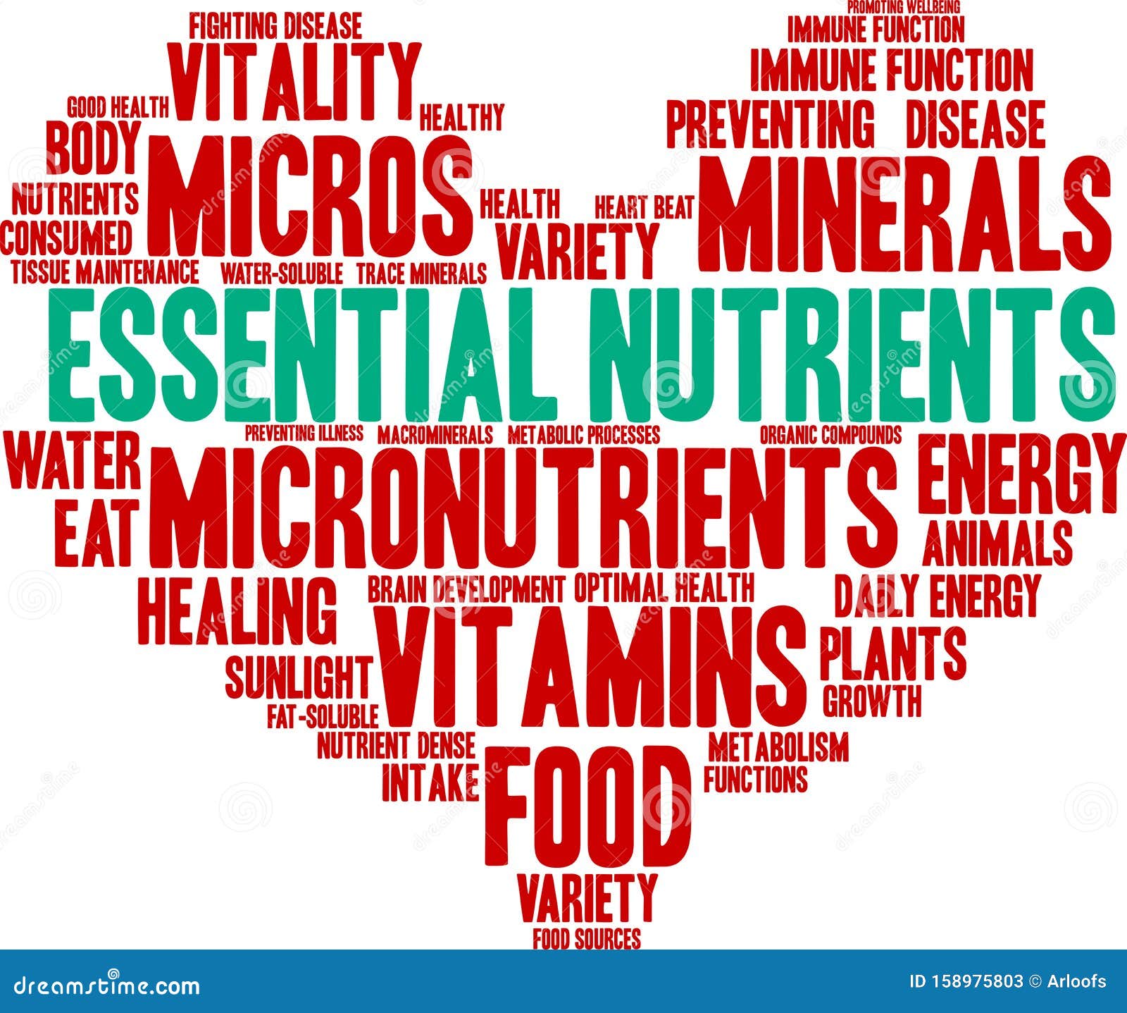 Essential Nutrients For Lungs Health Including Omega-3, Flavonoids ...