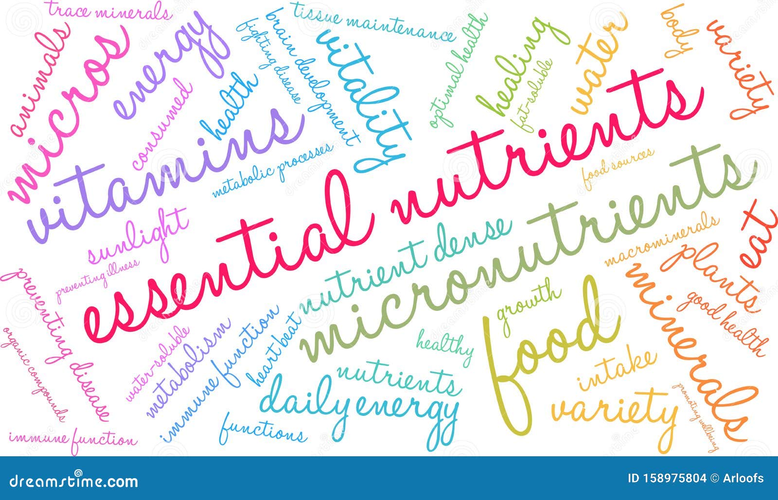 Essential Nutrients Word Cloud Stock Vector - Illustration of essential ...