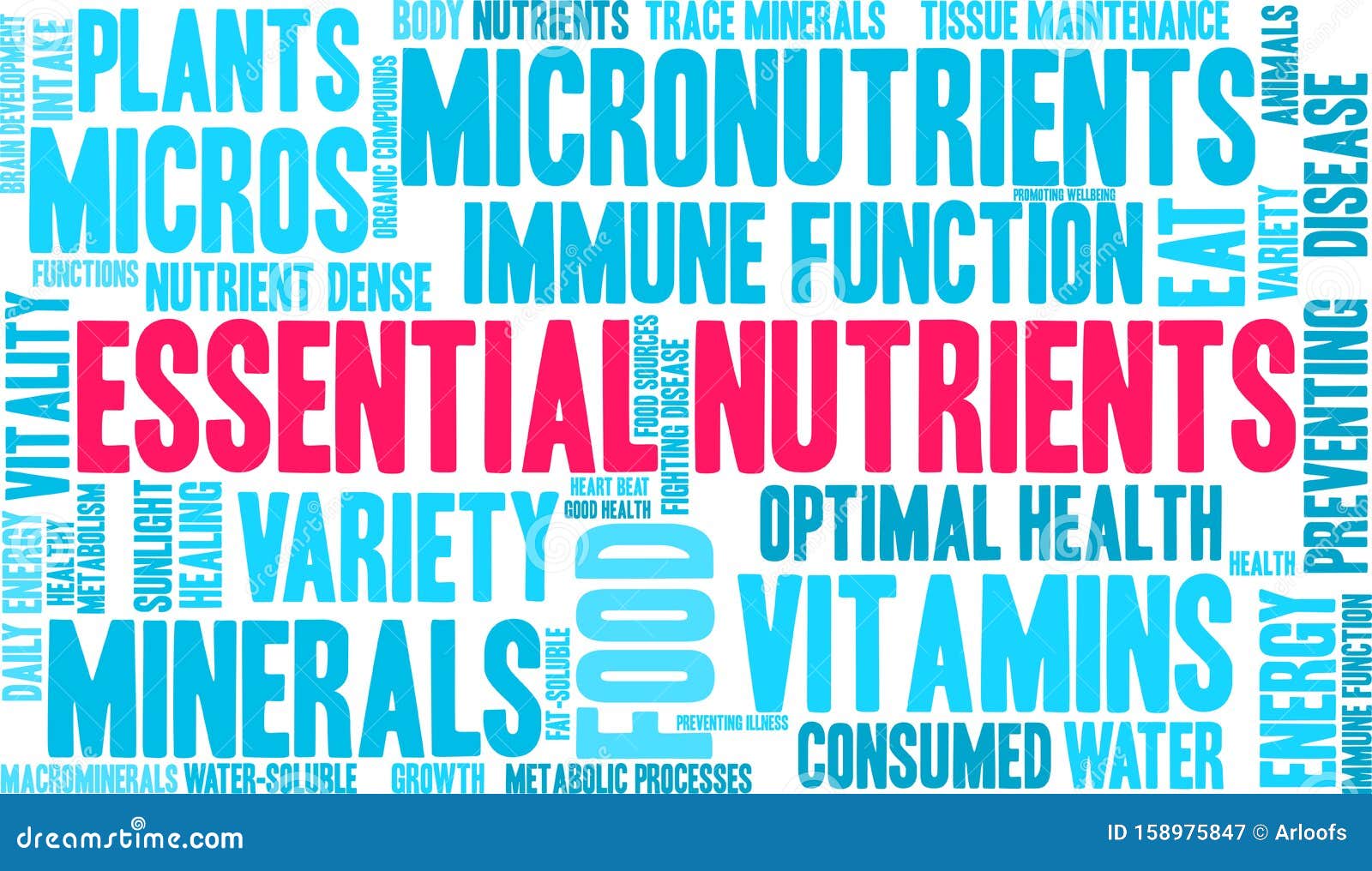 Essential Nutrients For Lungs Health Including Omega-3, Flavonoids ...