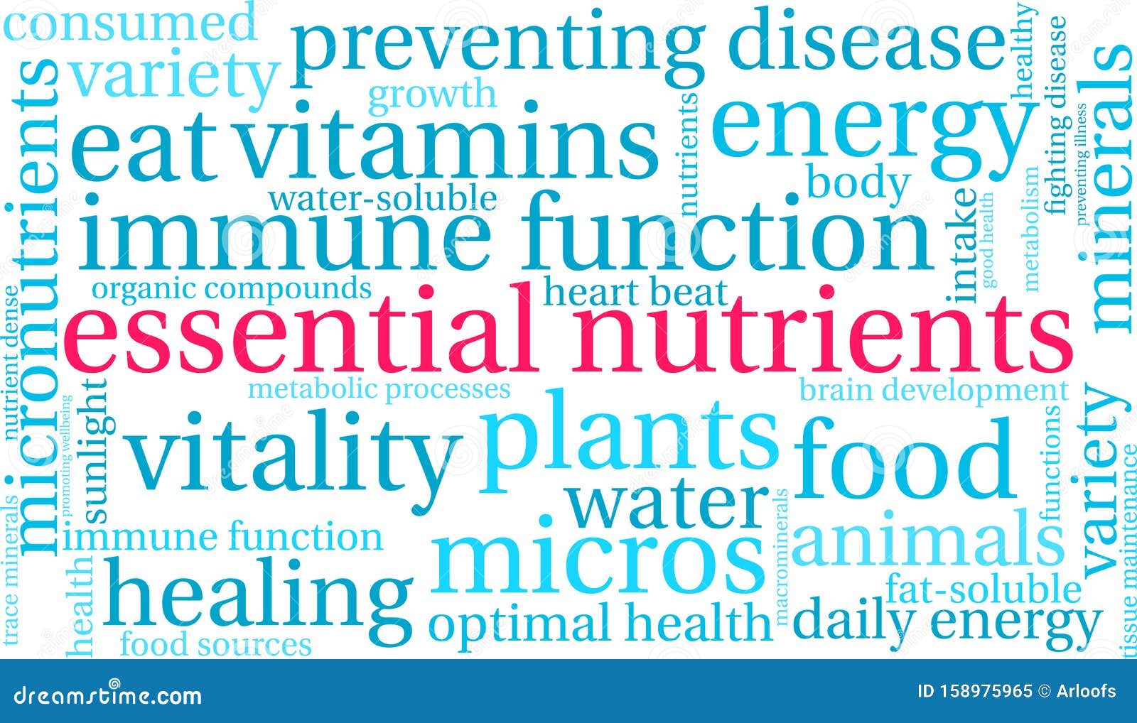 Essential Nutrients Word Cloud Stock Vector - Illustration of ...