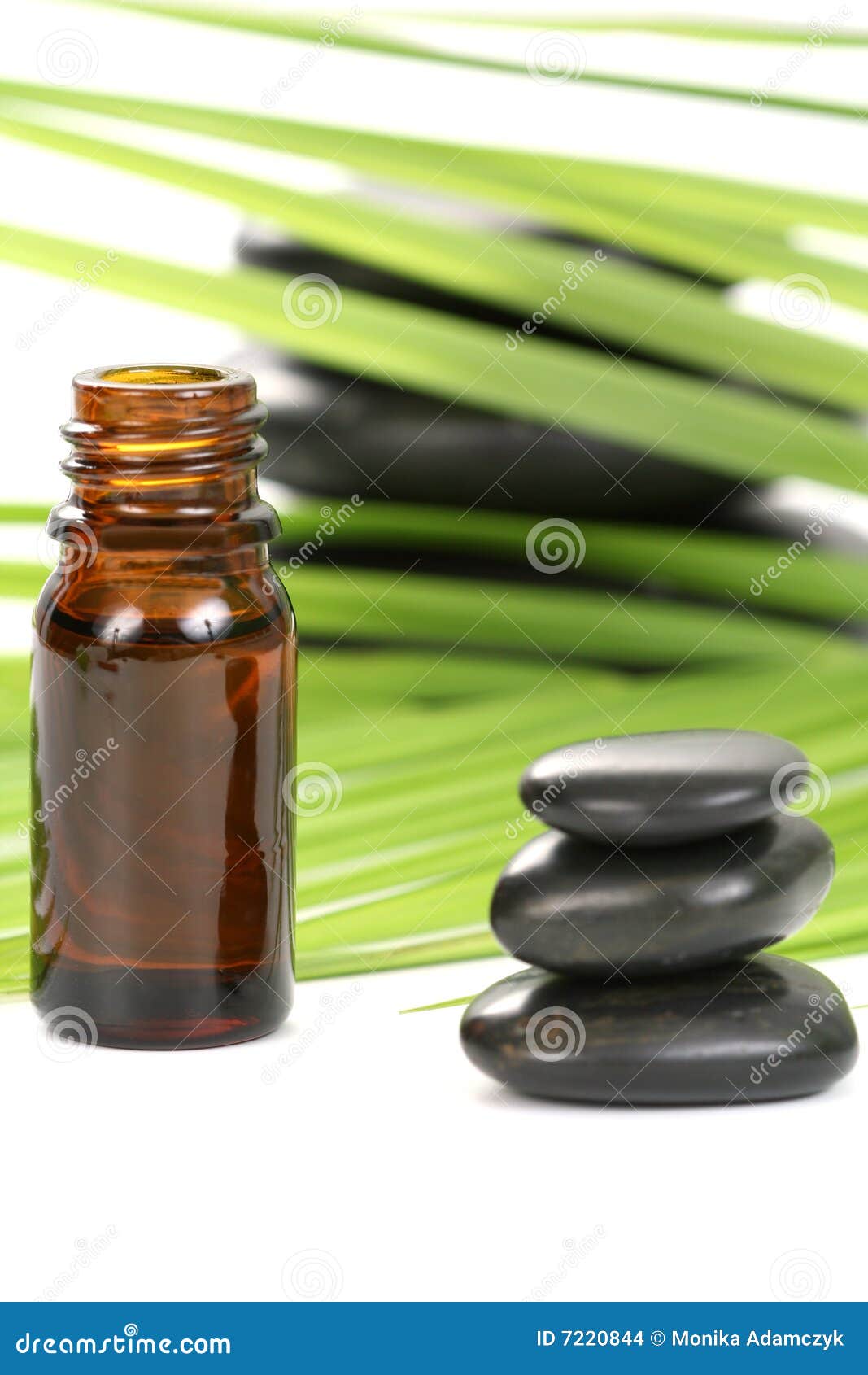 Essential oil stock photo. Image of healthy, natural, pleasure - 7220844