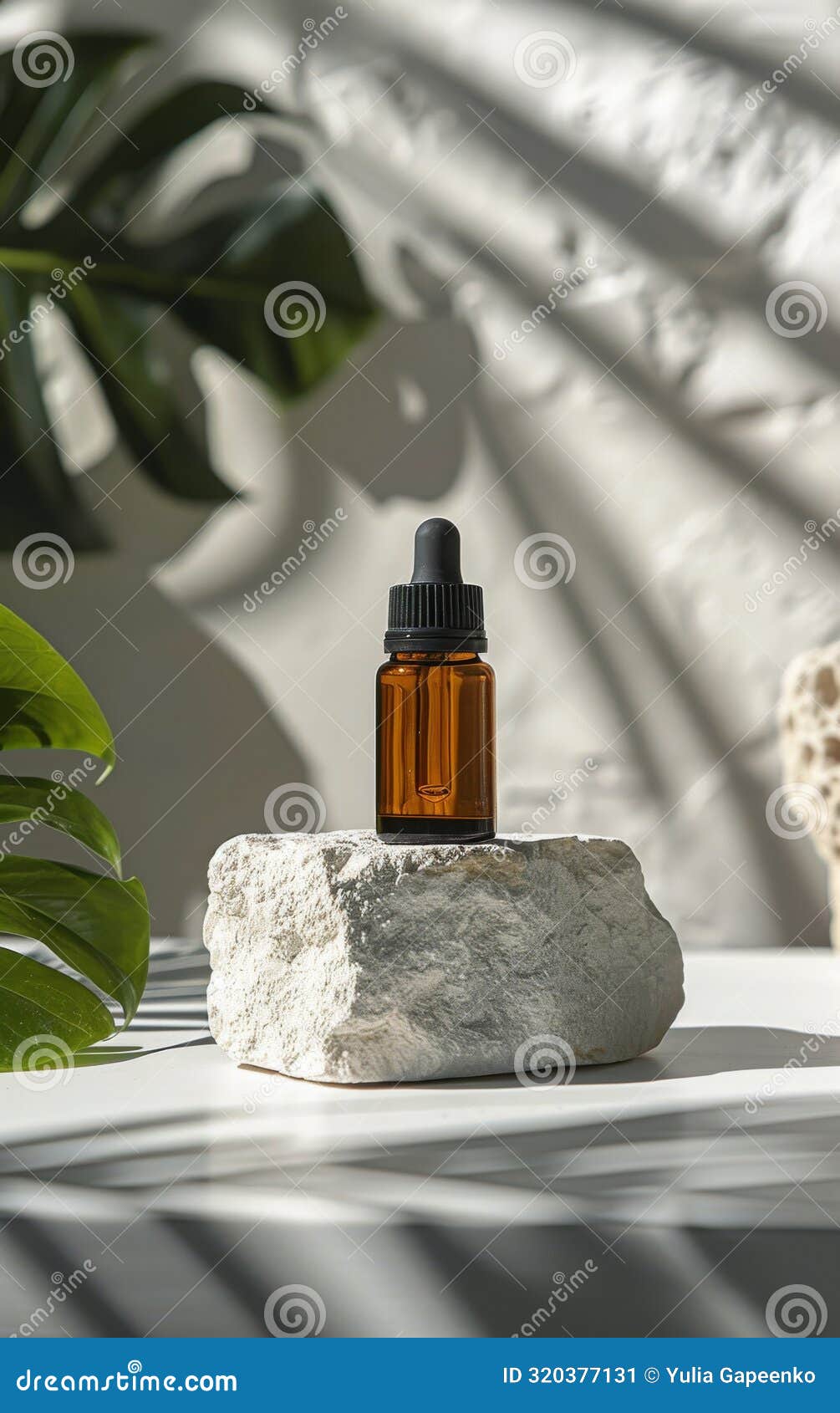 Essential Oil Bottle on Rock Stock Image - Image of health, wellbeing ...