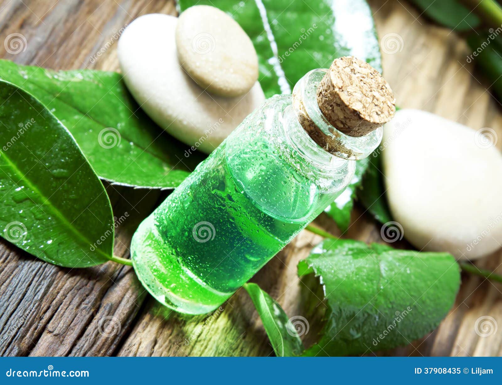 Essential Oil Bottle.Tea Tree Essence Stock Image - Image of plant ...