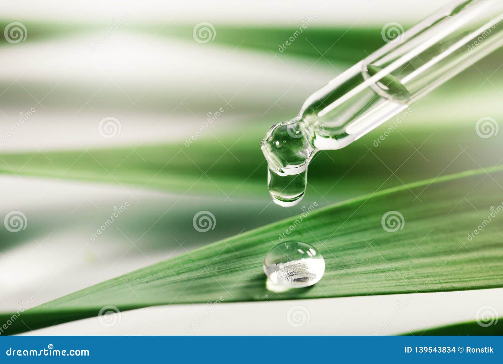 Essential Oil Drop on Green Leaf. Spa Background Stock Photo - Image of ...