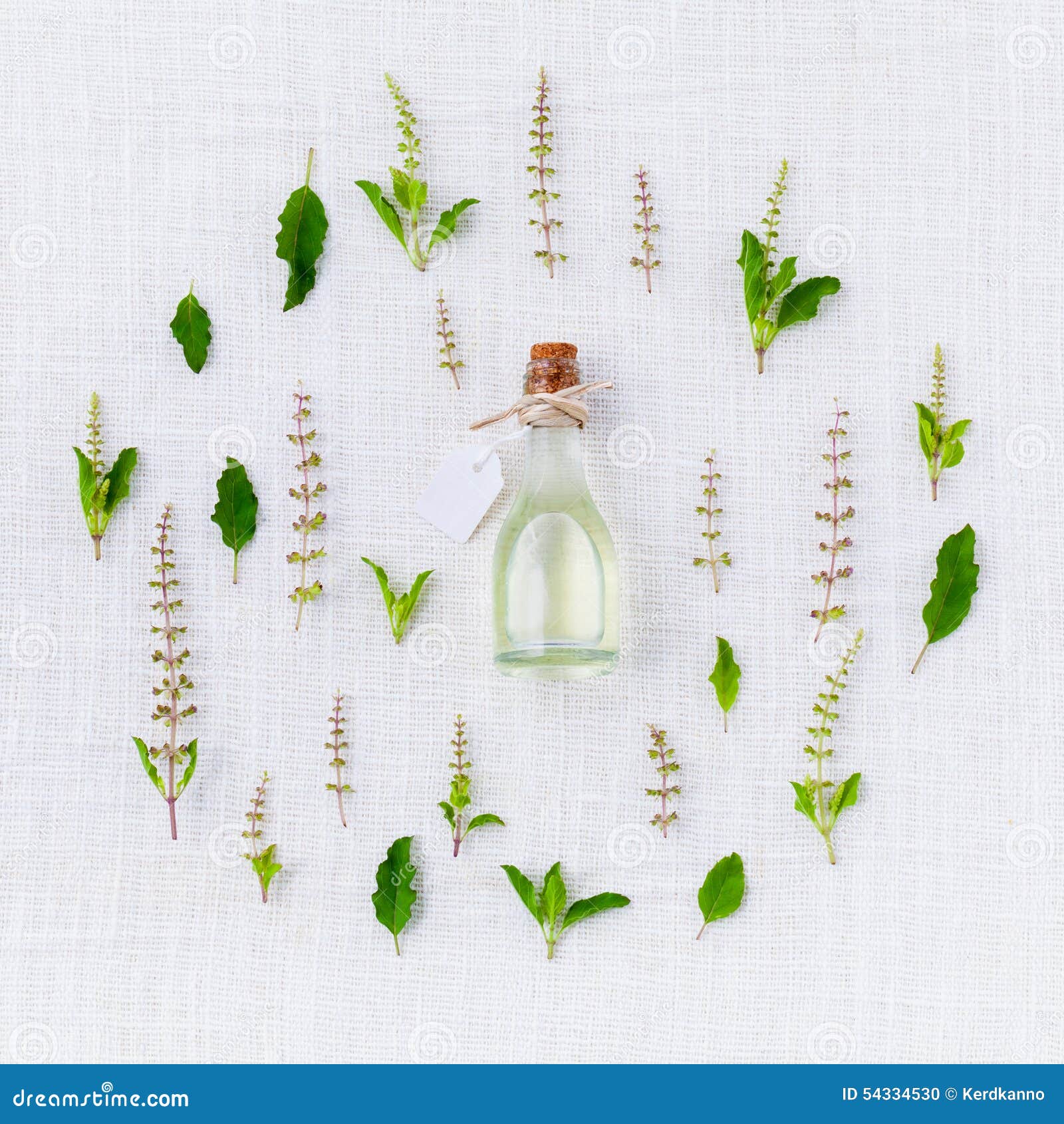 Essential Oil with Holy Basil Leaf and Flower. Stock Photo - Image of ...