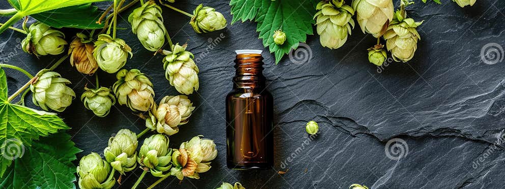 Essential Oil of Hops Top View. Selective Focus Stock Illustration ...