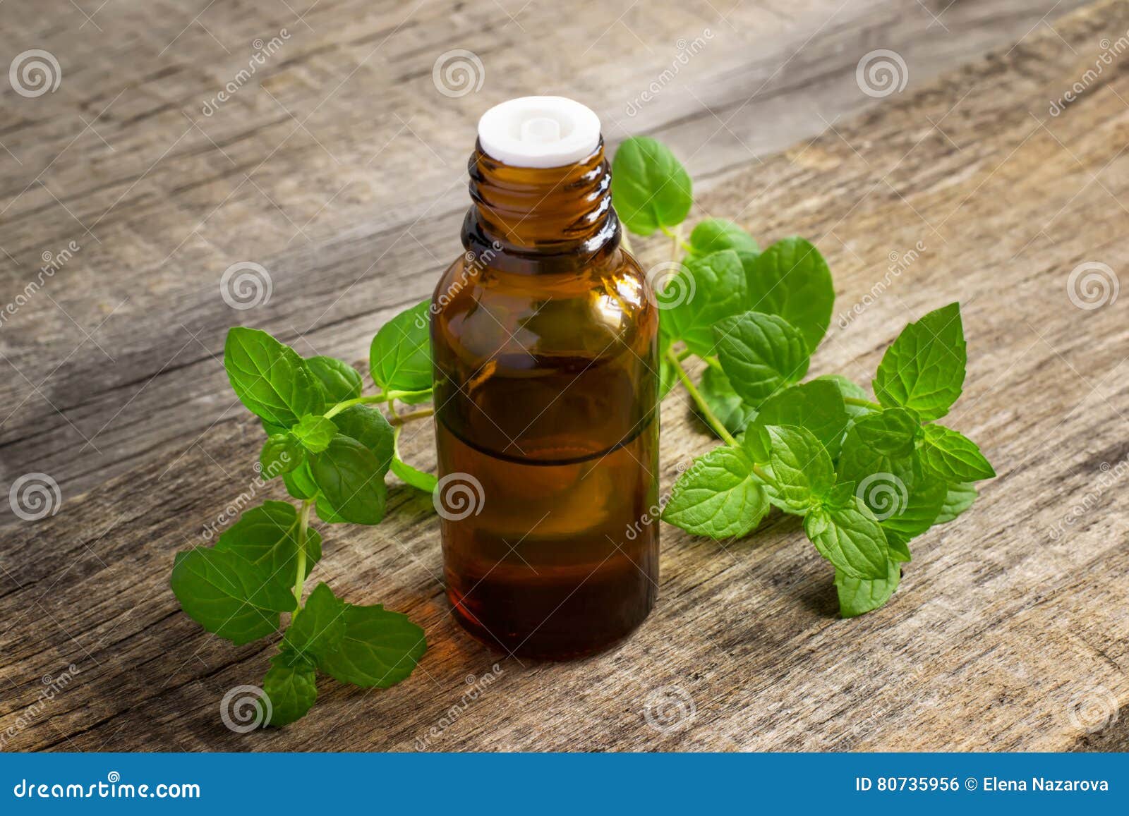 Essential Oil of Peppermint in a Small Bottle with Fresh Mint Stock ...
