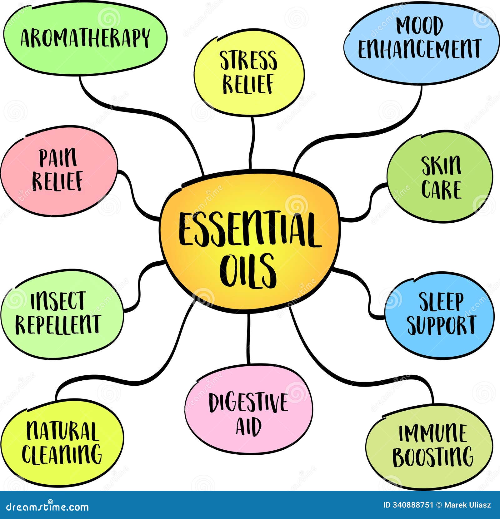 Essential Oils Applications, Mind Map Infographics Stock Vector ...
