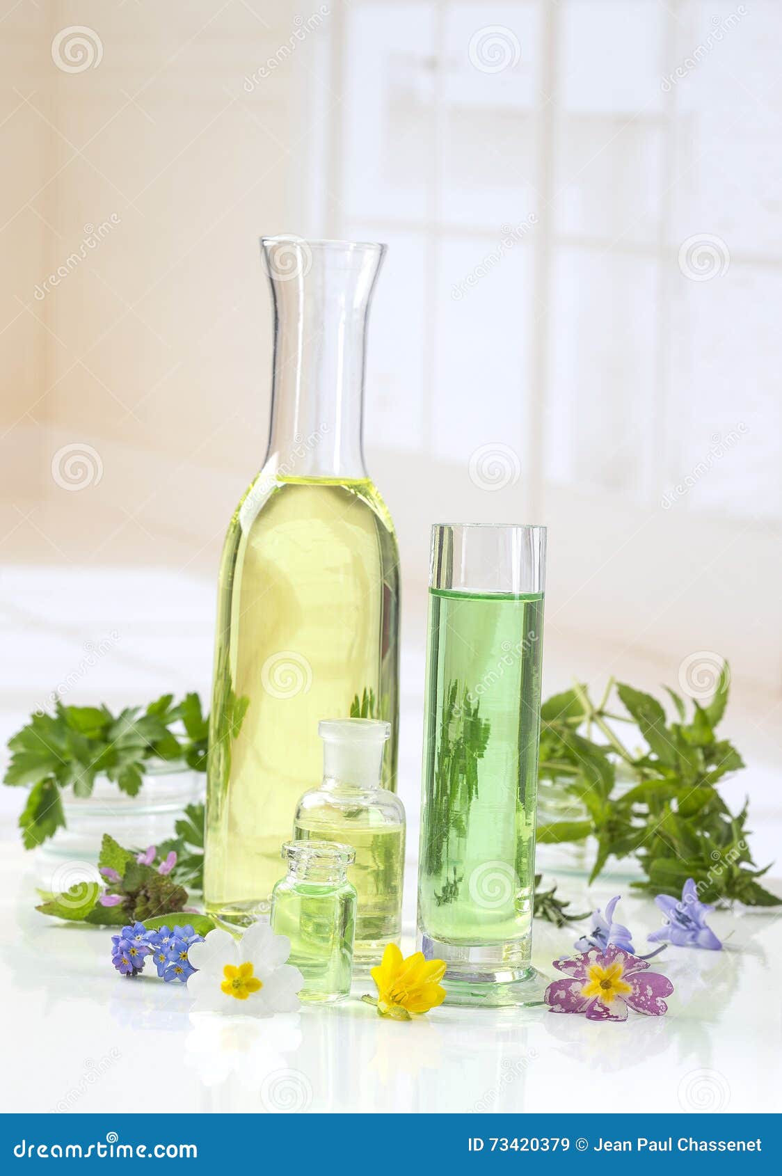 Essential Oils for Aromatherapy Treatment with Fresh Herbs Stock Image ...