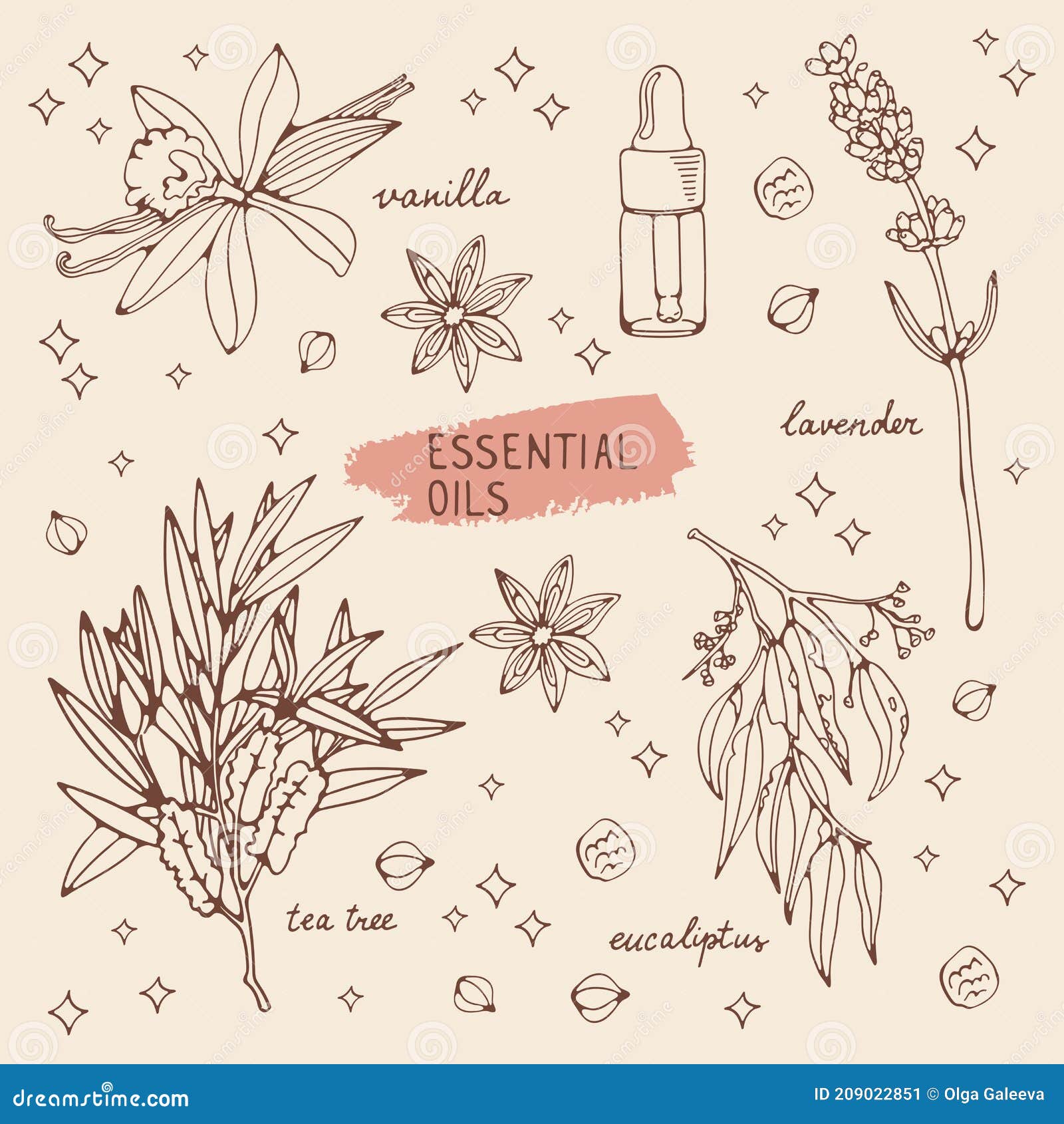 Essential Oils Graphic Elements Hand Drawn Composition Stock Vector ...