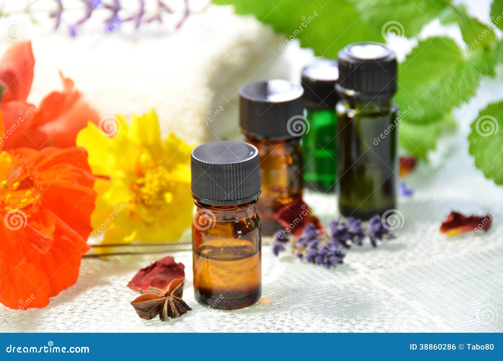 Essential Oils with Herbal Flowers Stock Photo - Image of aromatherapy ...