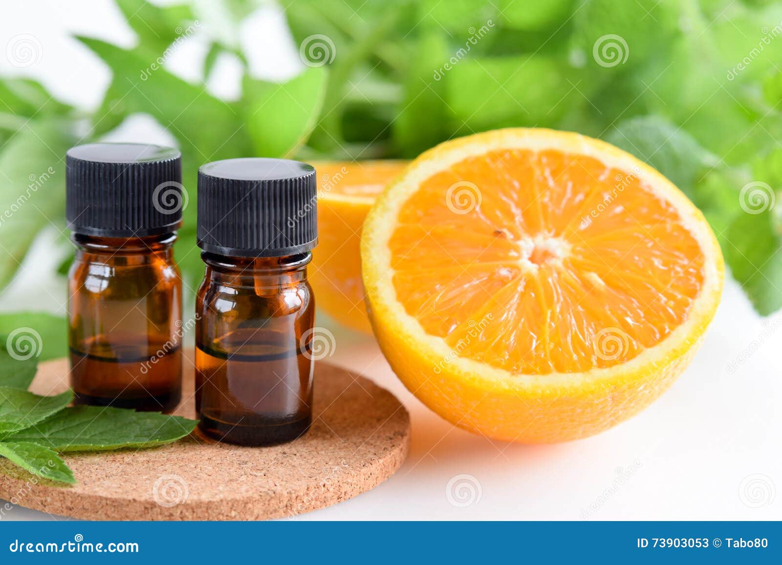 Essential Oils Gland On The Kaffir Lime (Citrus Hystrix) Leaves Royalty ...
