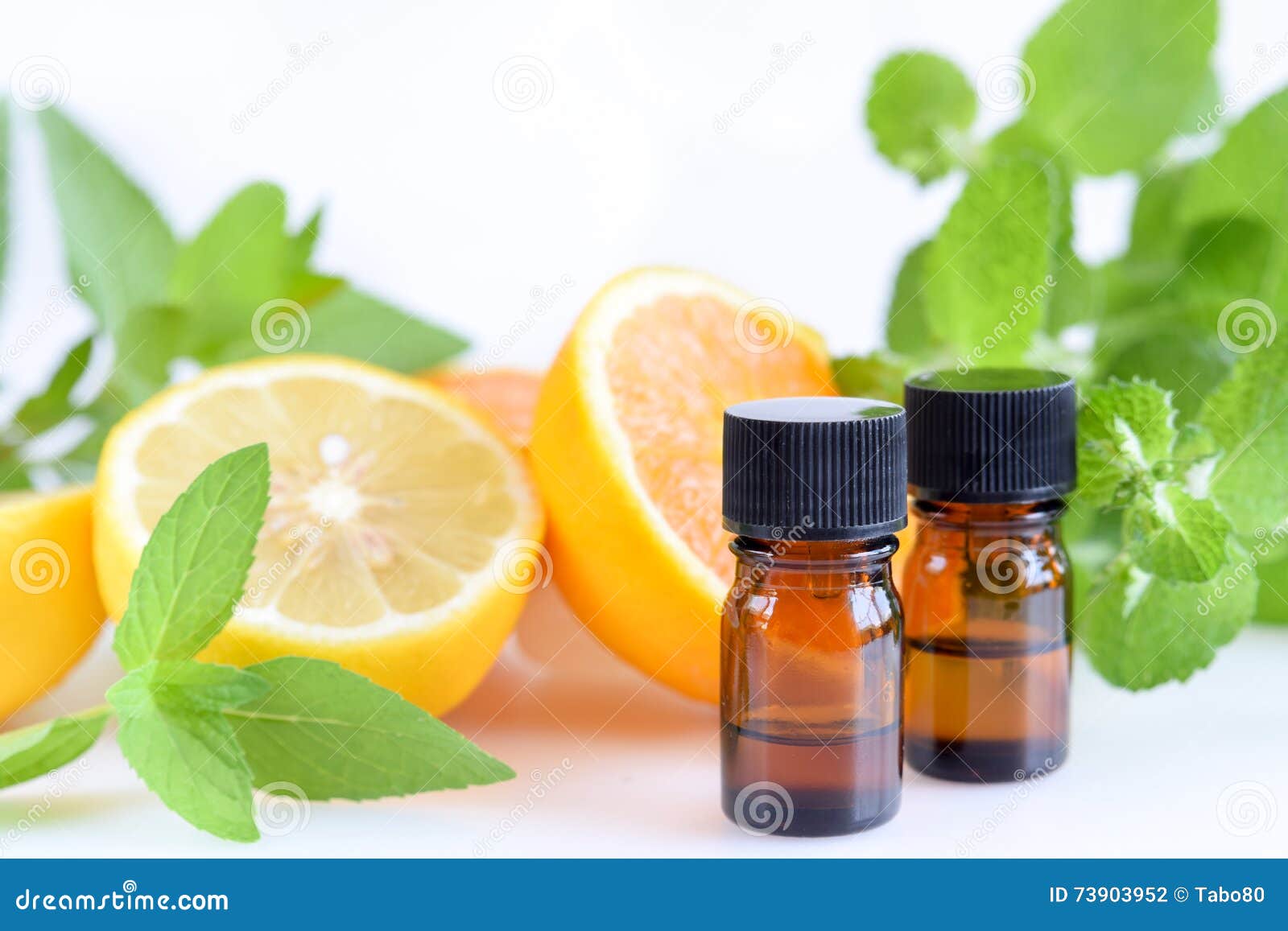 Essential Oils Gland On The Kaffir Lime (Citrus Hystrix) Leaves Royalty ...