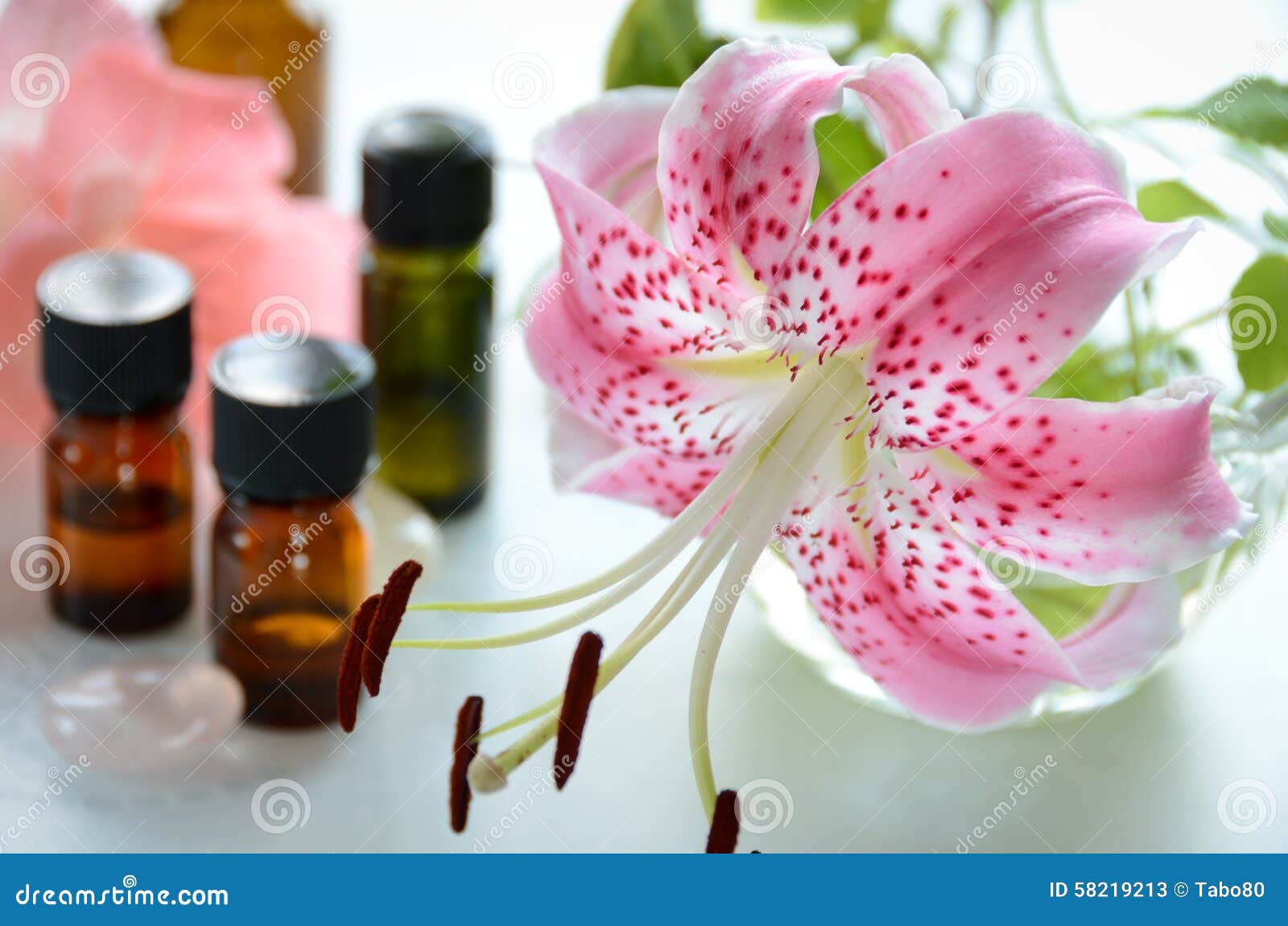 Essential Oils with Pink Lily Stock Image - Image of herbs, treatment ...