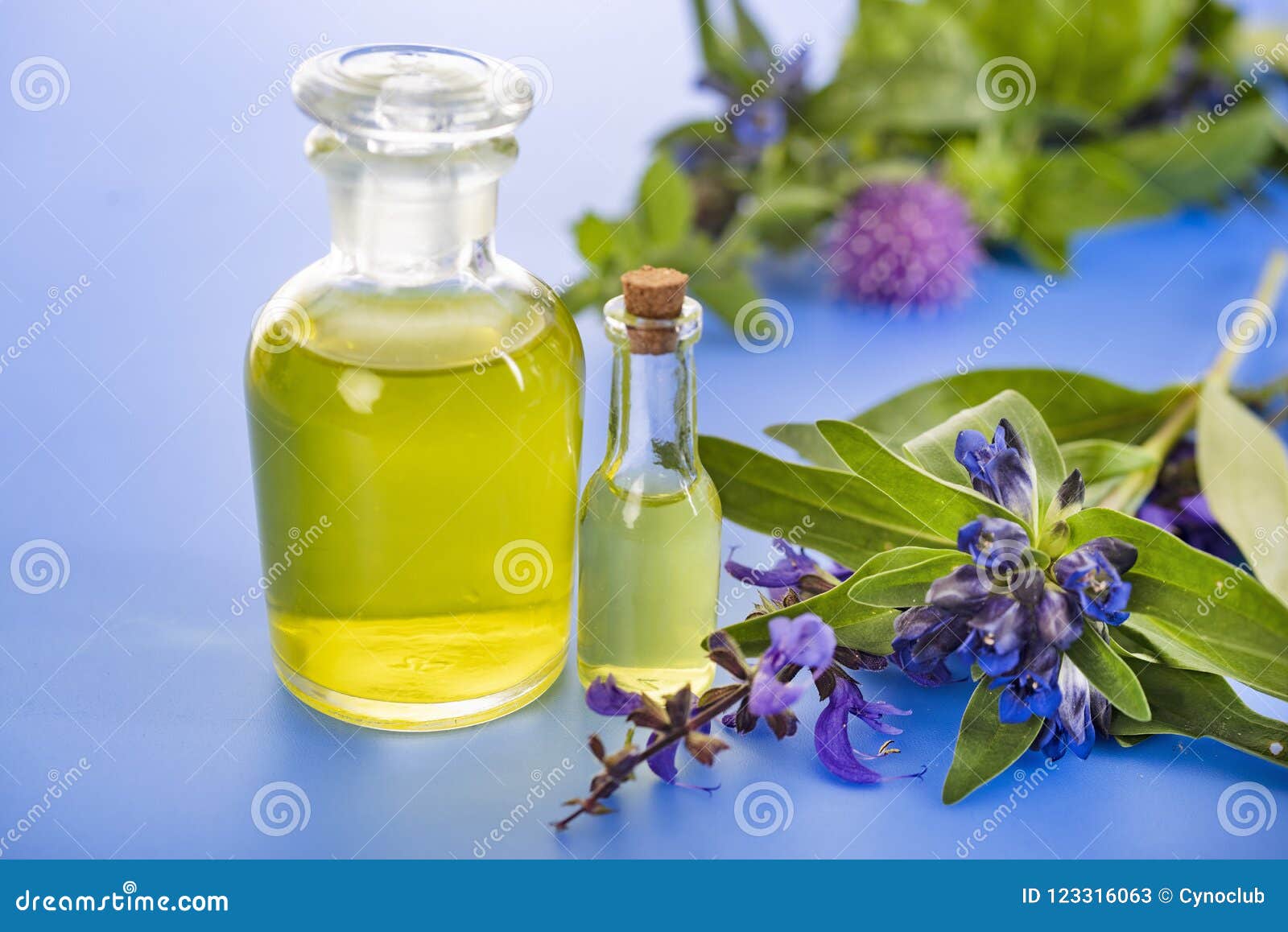 Essential oils in studio stock image. Image of tincture - 123316063