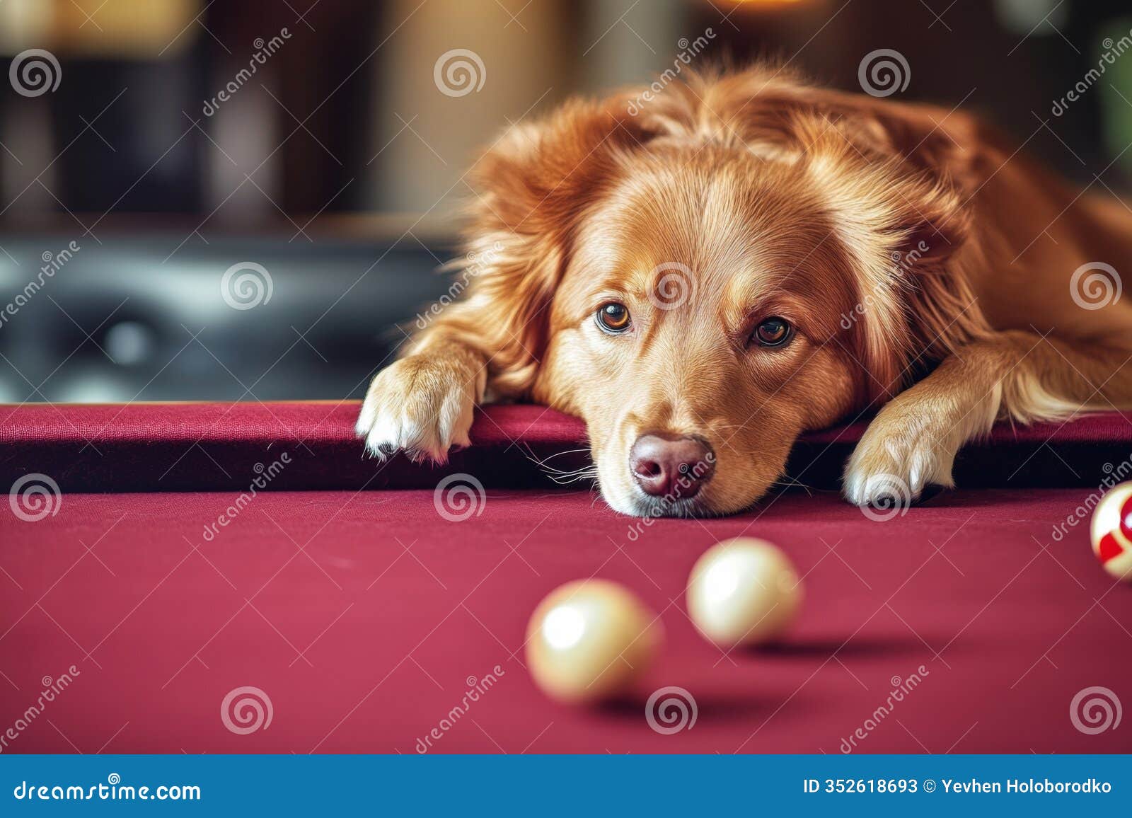 Essential Techniques and Skills Every Player Must Master in Billiards ...