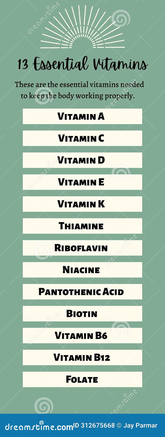 13 Essential Vitamins Health Class Science Infographic Stock ...