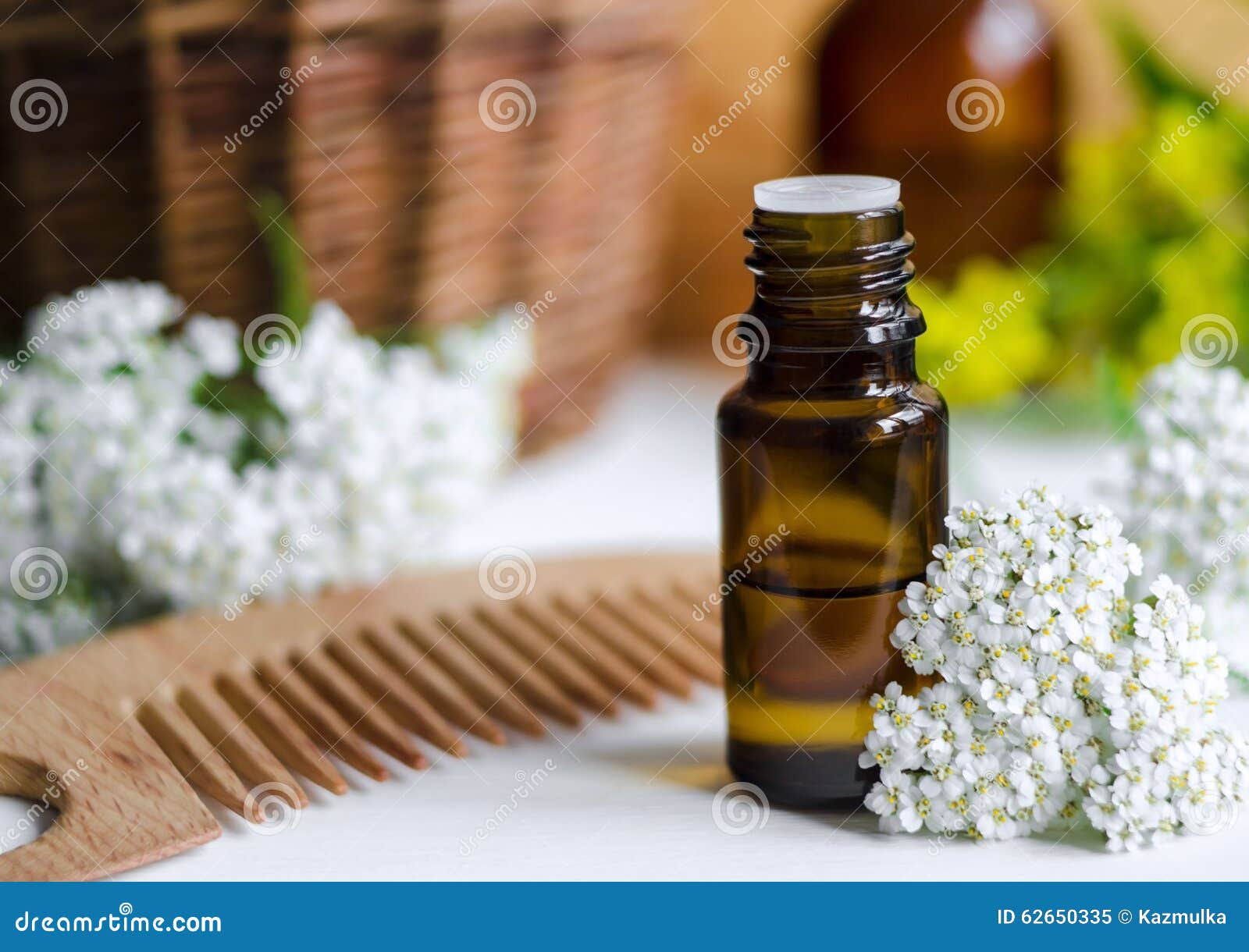 Essential yarrow oil stock image. Image of beauty, antibacterial - 62650335