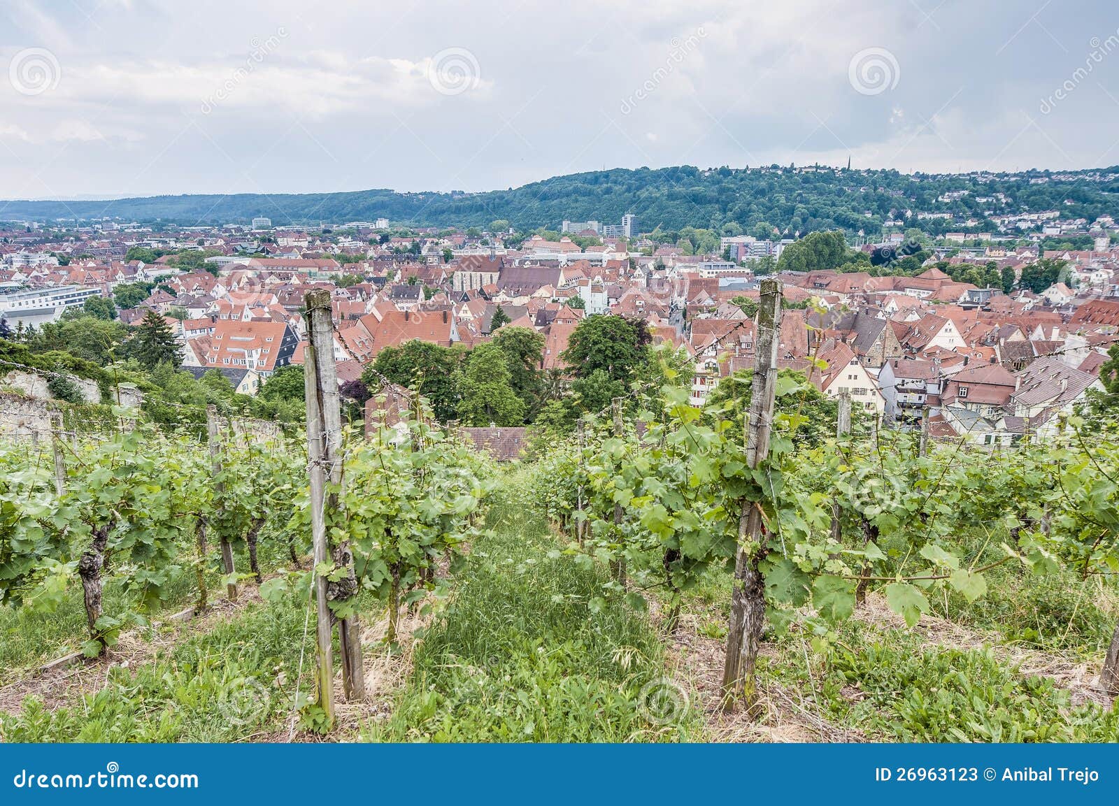 Esslingen am Neckar Views from the Castle, Germany Stock Image - Image ...