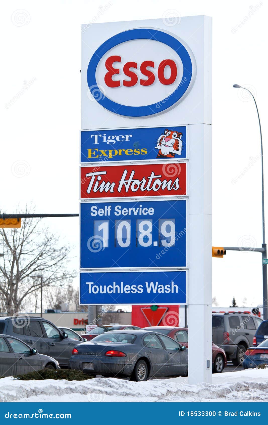 Esso gas station editorial image. Image of price, supply - 18533300