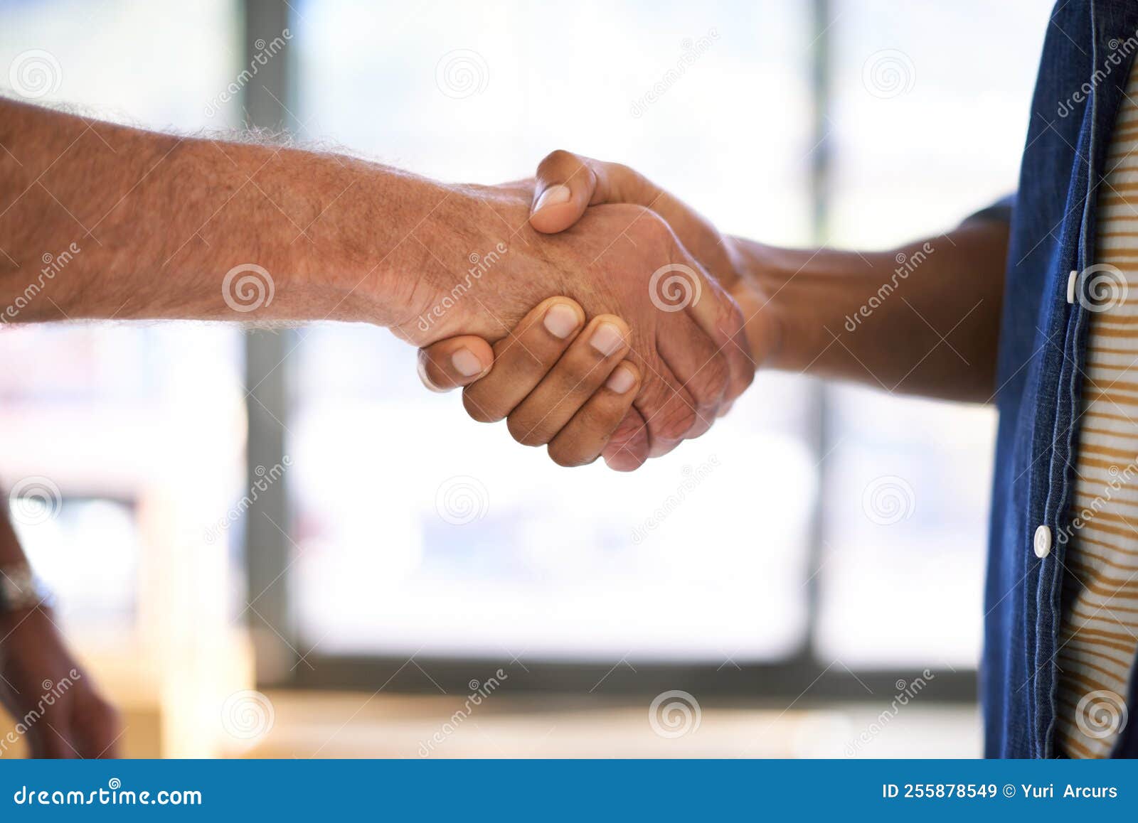 Establishing Solid Bonds. Cropped View of Two Men Shaking Hands Indoors ...