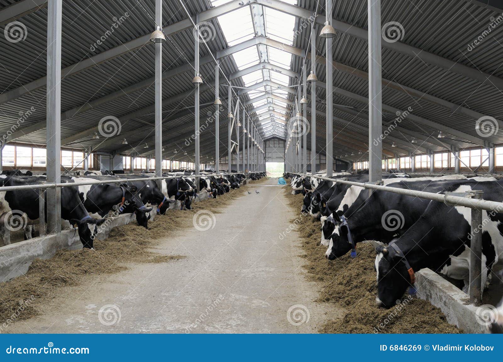 Establo. imagen de archivo. Imagen de columnas, forraje - 6846269