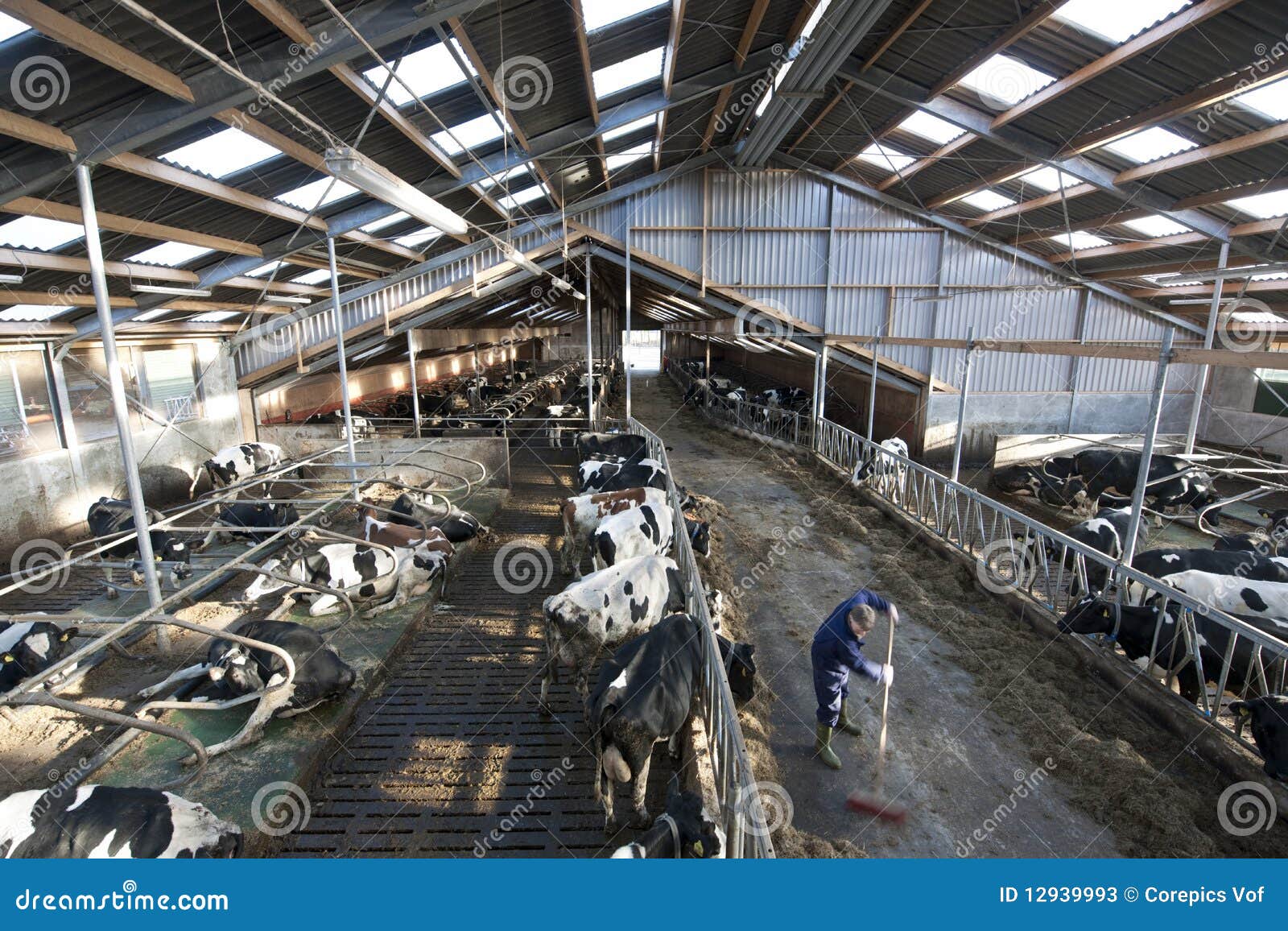 Establo moderno imagen de archivo. Imagen de hombre, claraboyas - 12939993