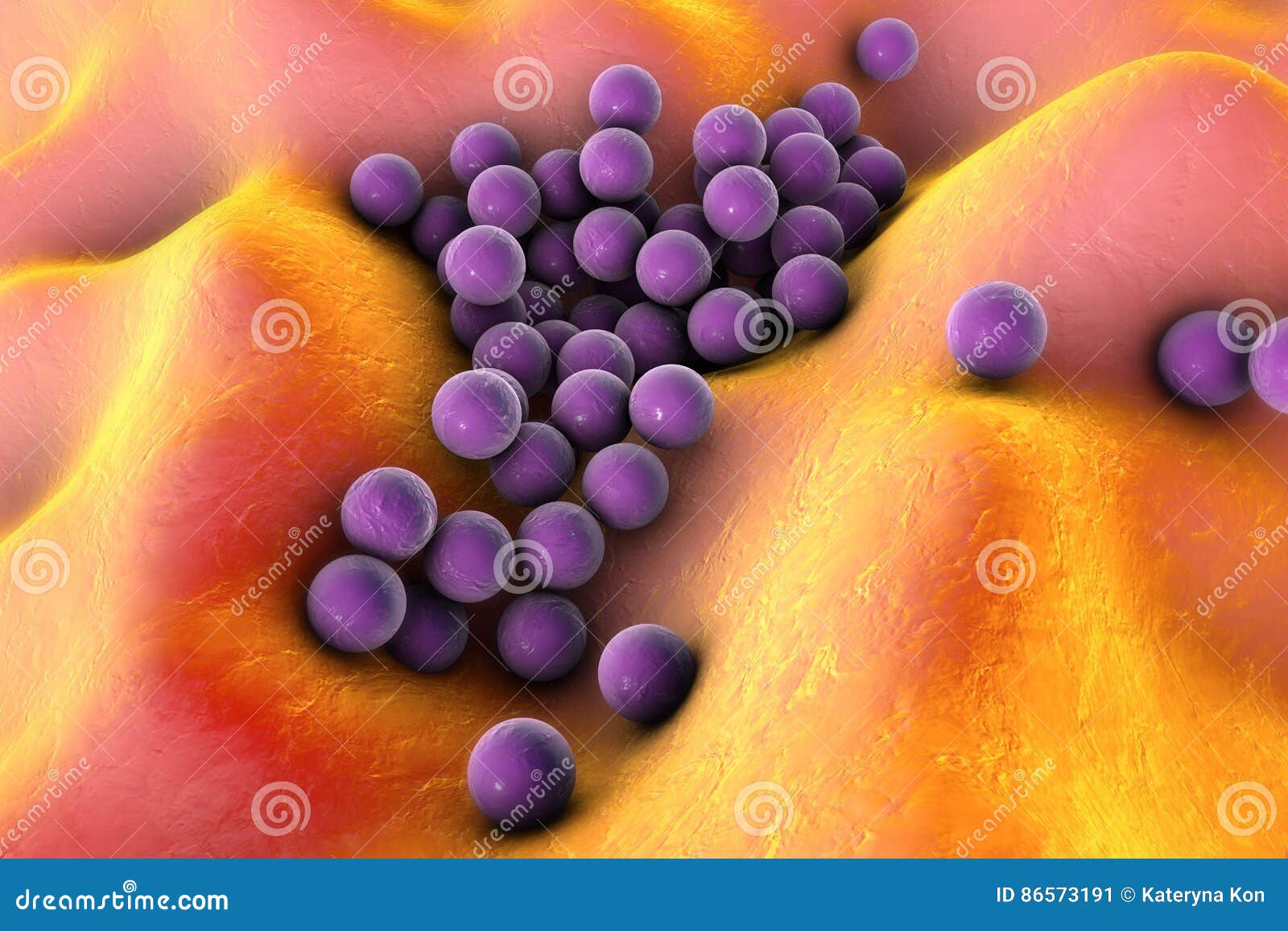 Estafilococo áureo De Las Bacterias Stock de ilustración - Ilustración ...