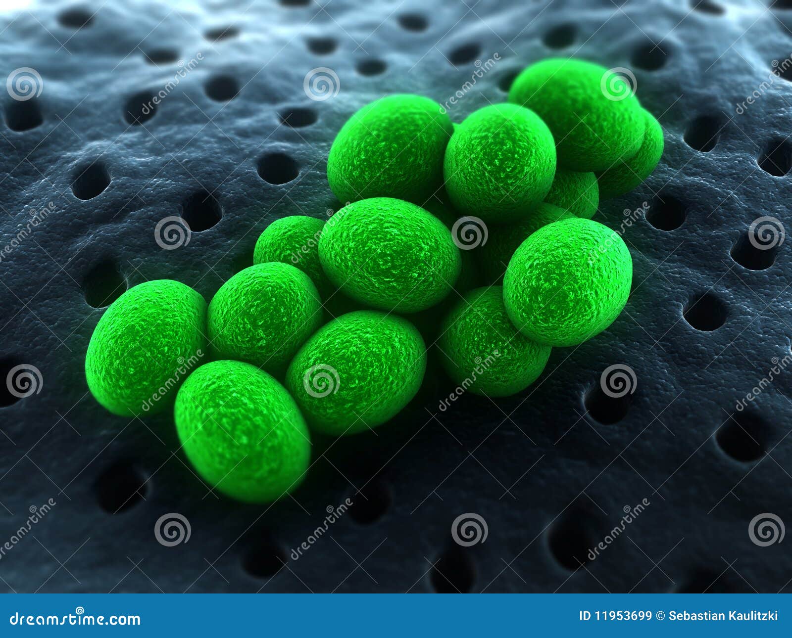 Estafilococo stock de ilustración. Ilustración de ciencia - 11953699