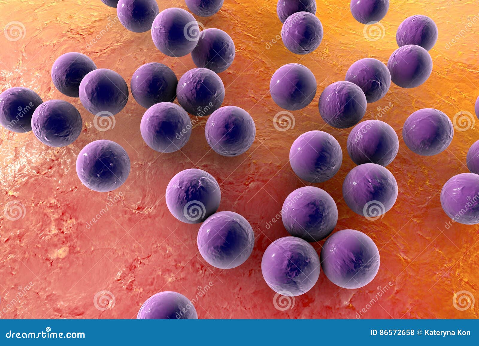 Estafilococo Das Bactérias - áureo Ilustração Stock - Ilustração de ...