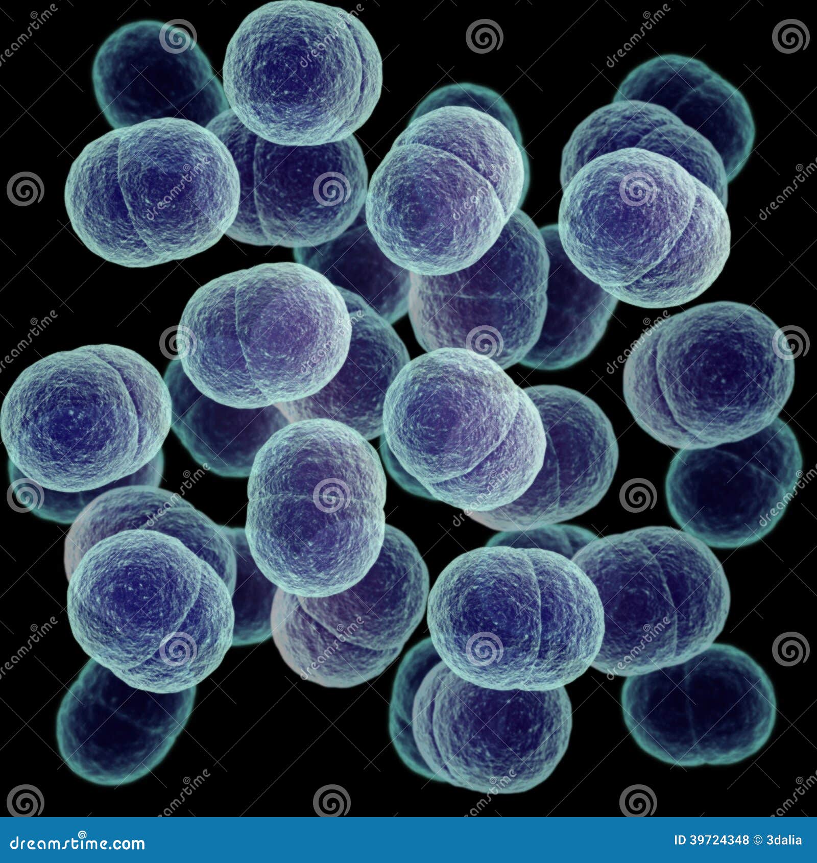 Bacterias Staphylococcus